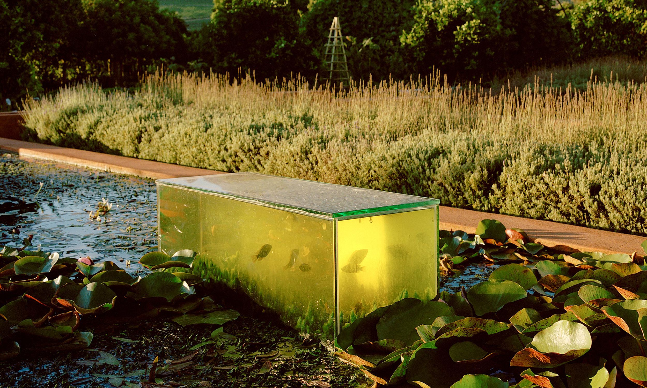 Kent Andreasen Photographs Humans vs. Nature · Urth Magazine