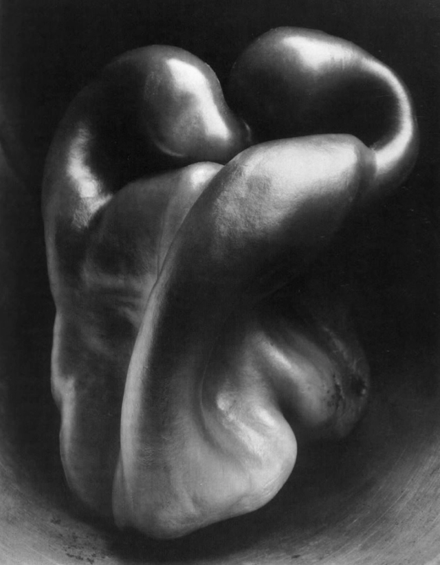 How Edward Weston Pushed Photography into Modernity · Urth Magazine