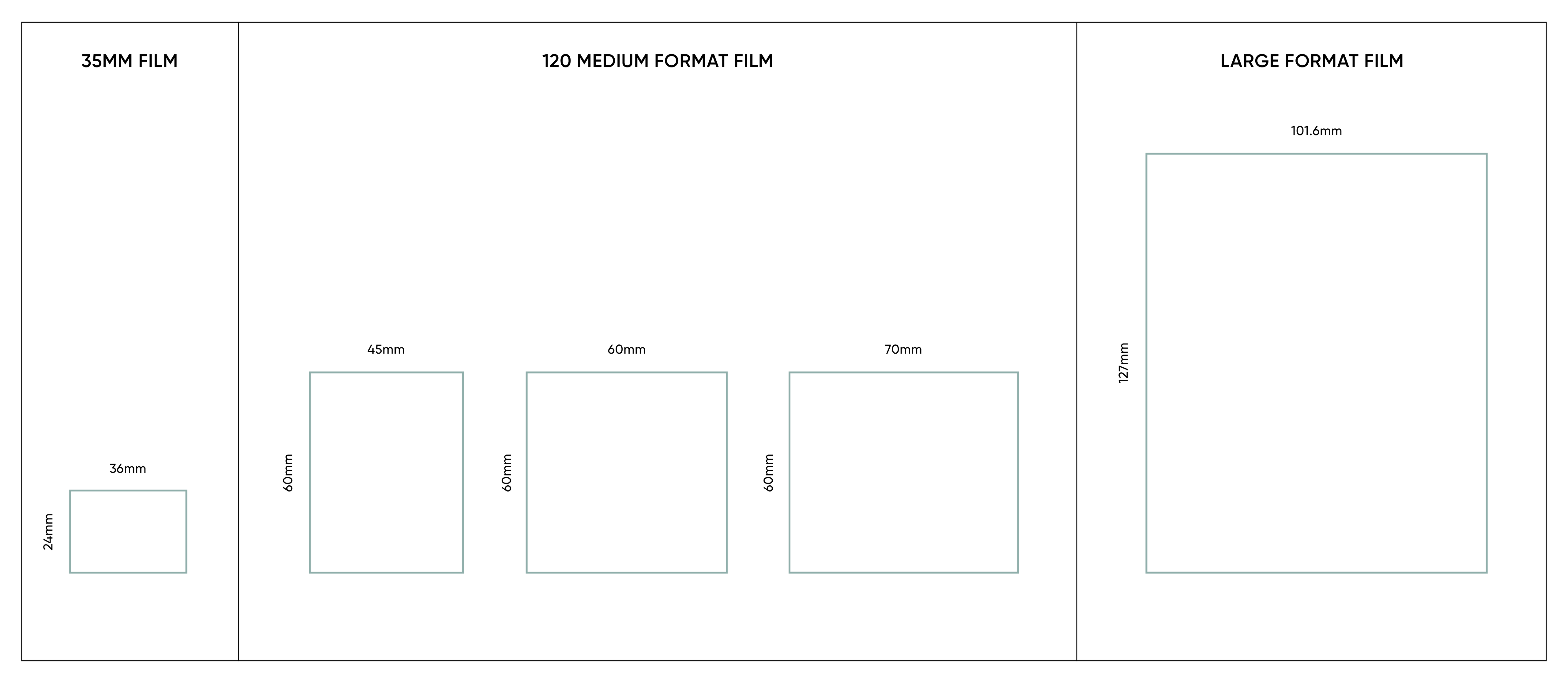 Beginner’s Guide to Using a Film Camera · Urth Magazine