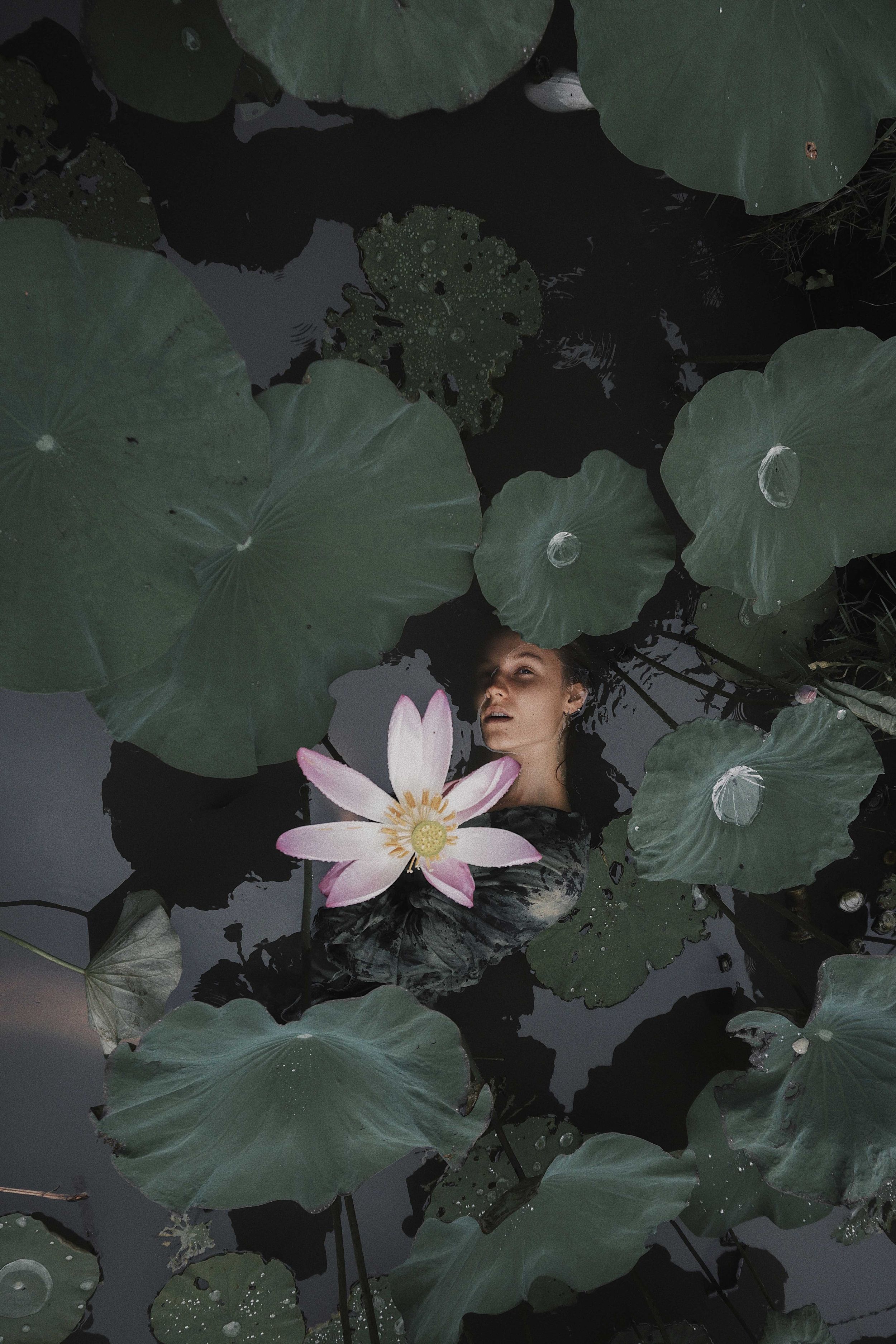 Natalie Karpushenko Animates the Natural World · Urth Magazine