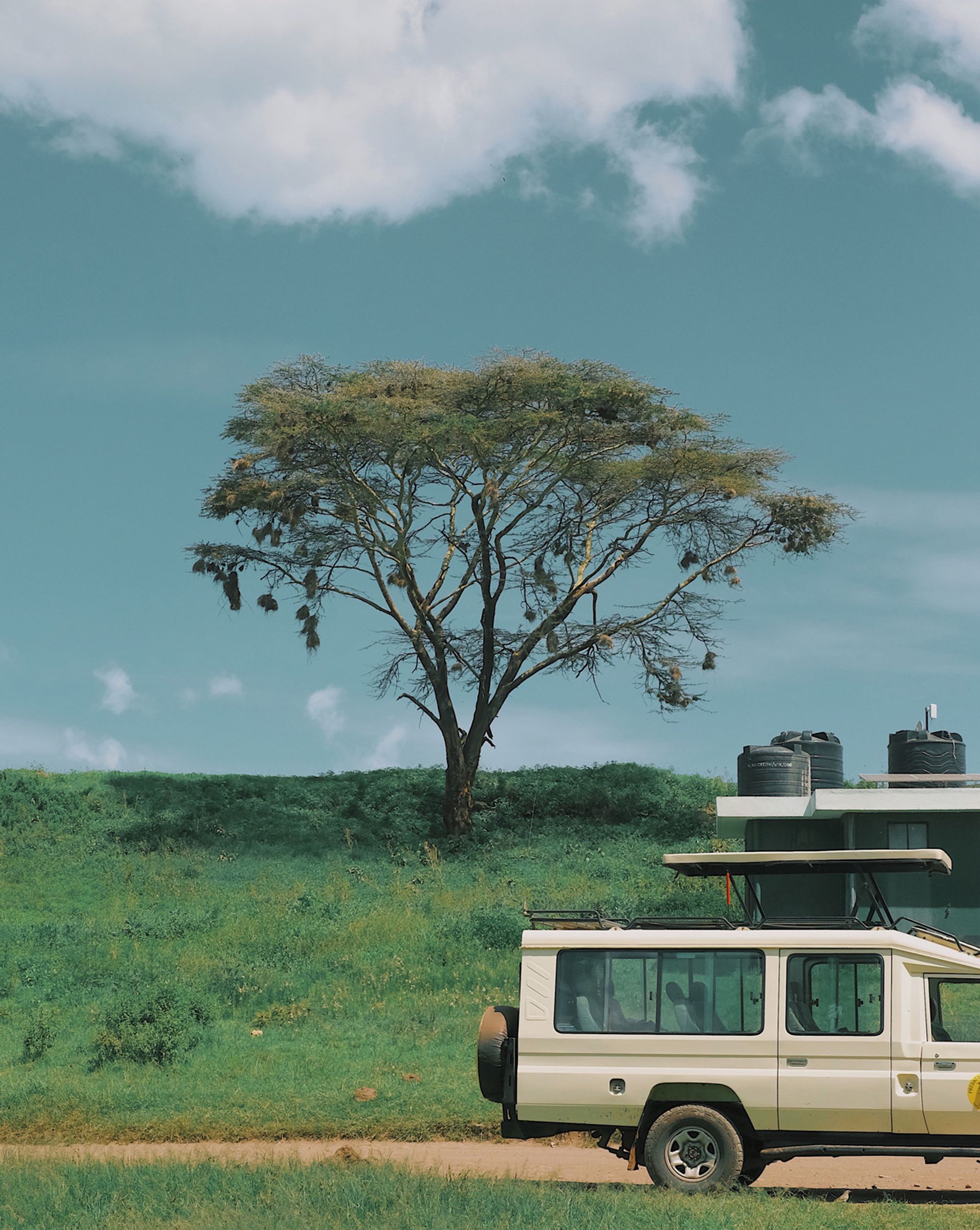 Incremental Shifts in Human Experience with Mandy Sham | Urth Magazine ...