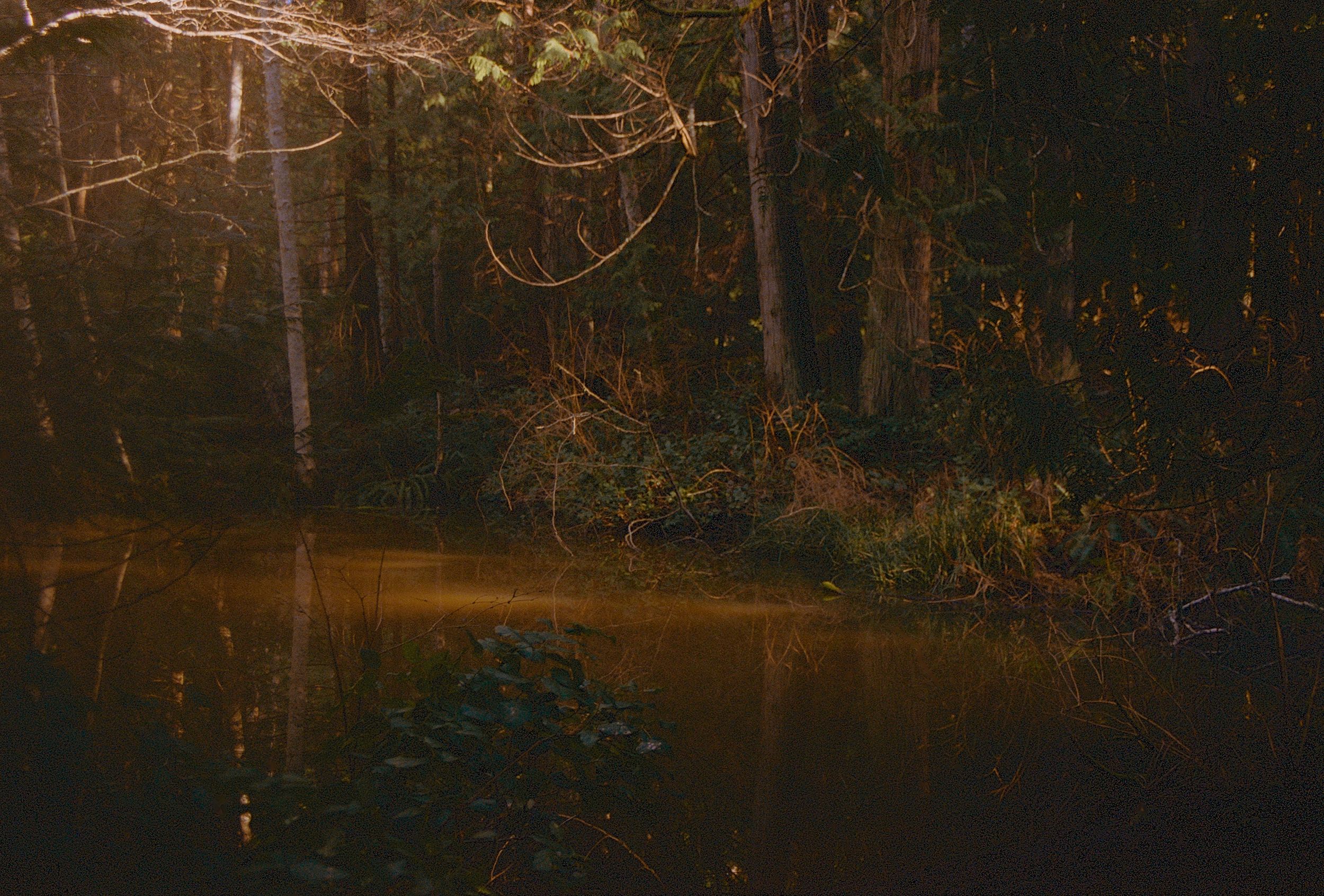 Capturing the Ephemeral Side of Nature with Chiara Zonca · Urth Magazine