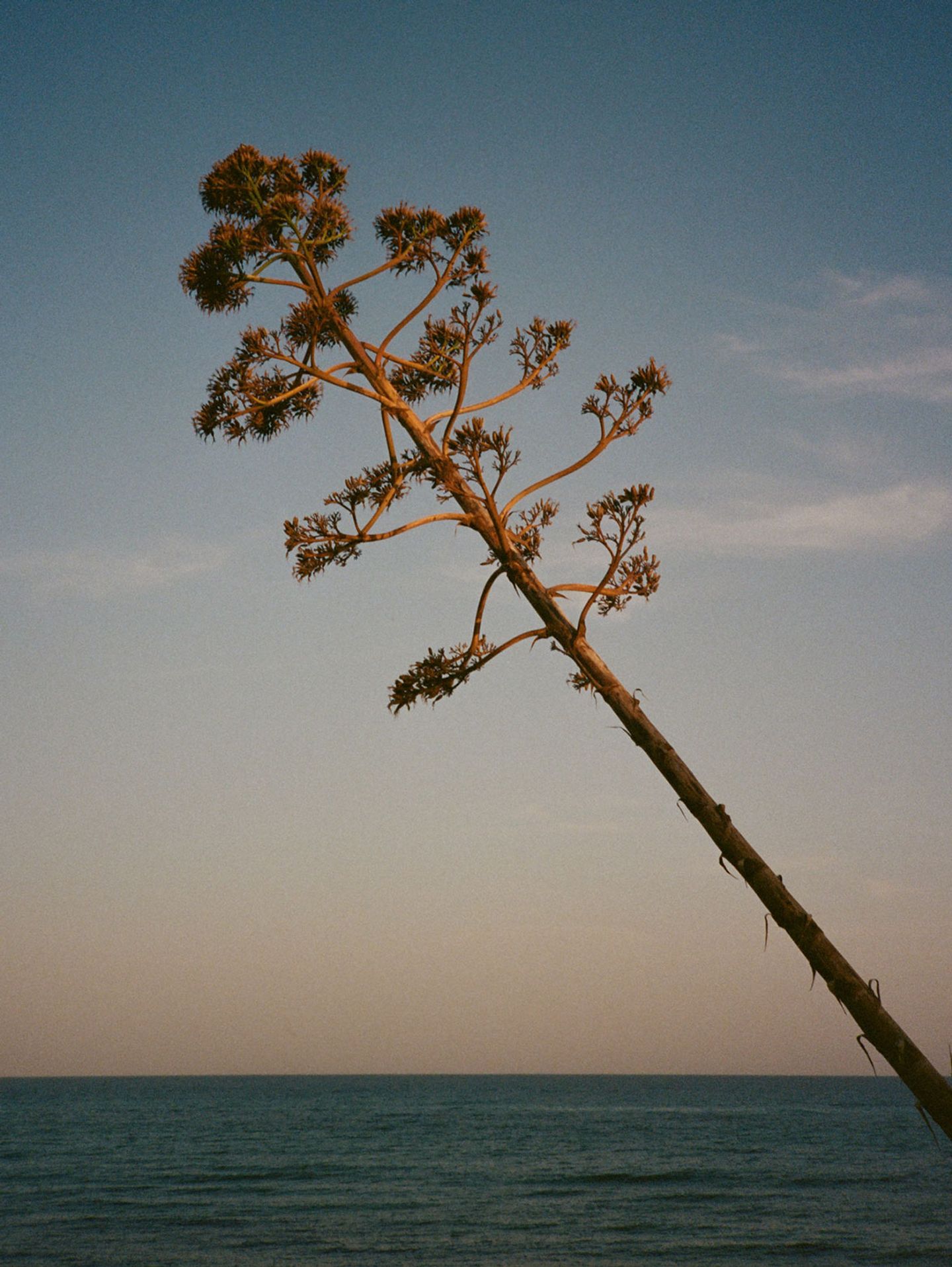 Subtractive photography with Nick Prideaux - Urth Magazine · Urth Magazine