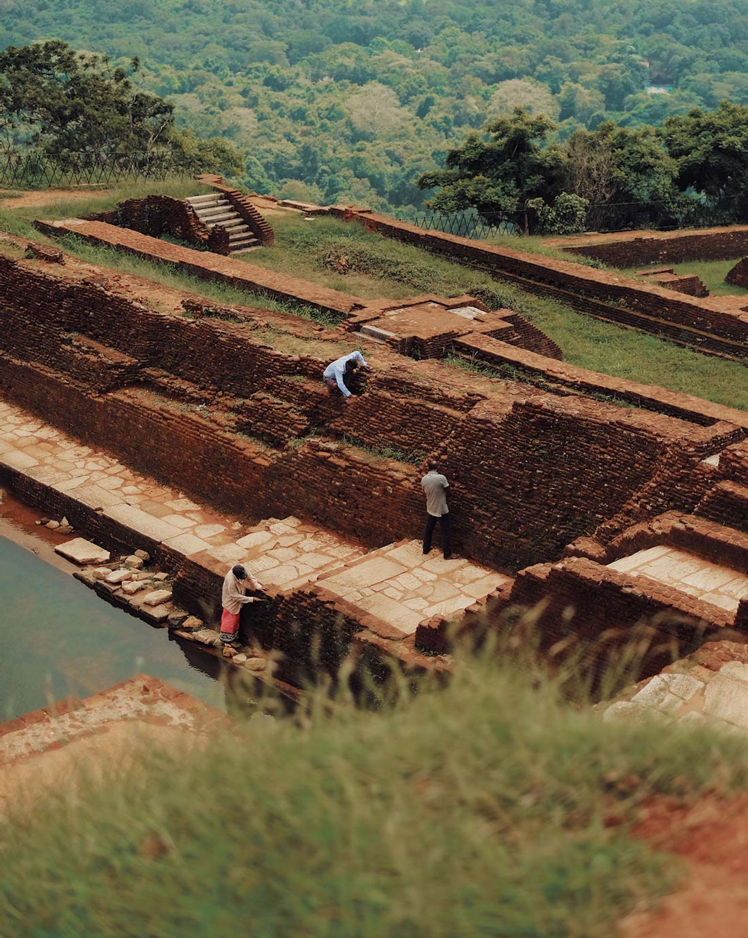 How Mandy Sham Shoots Vibrant Colours in Her Photos · Urth Magazine