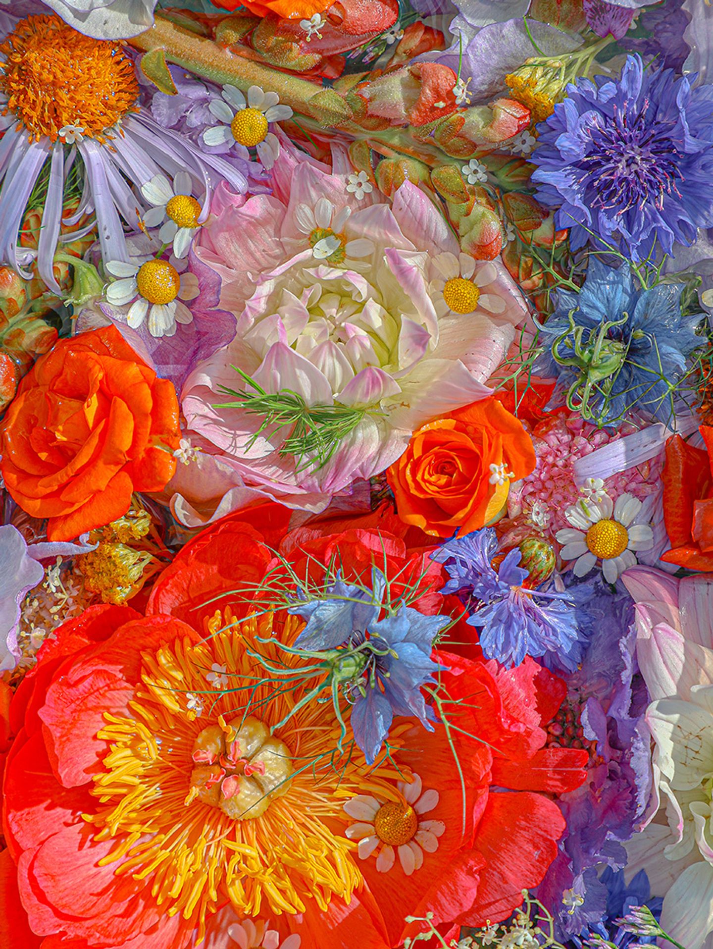 In Focus: Joe Horner on Capturing Nature’s Ephemeral Beauty · Urth Magazine