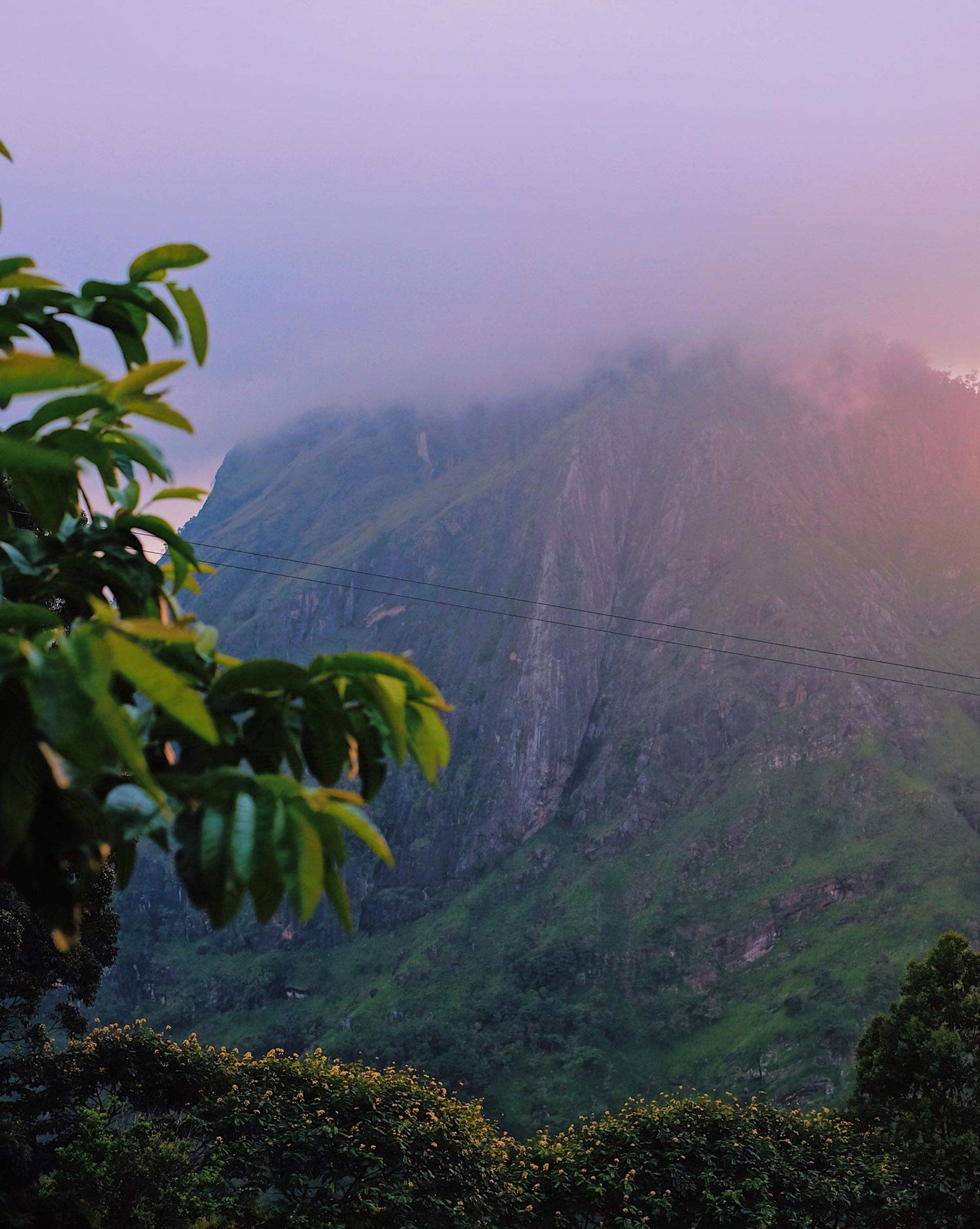 How Mandy Sham Shoots Vibrant Colours in Her Photos · Urth Magazine