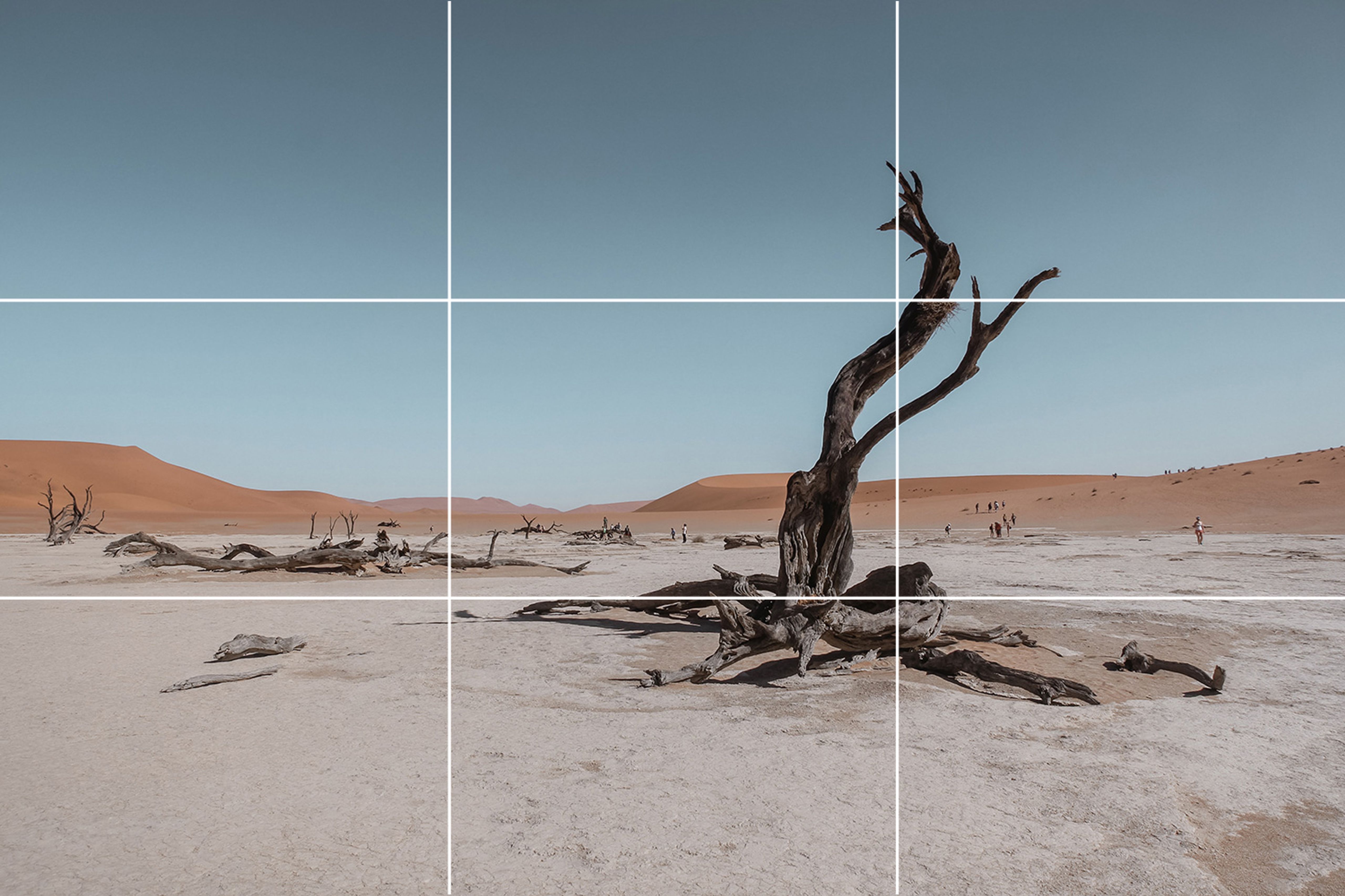 Photography Composition: Essential Knowledge for Better Photos | Urth ...