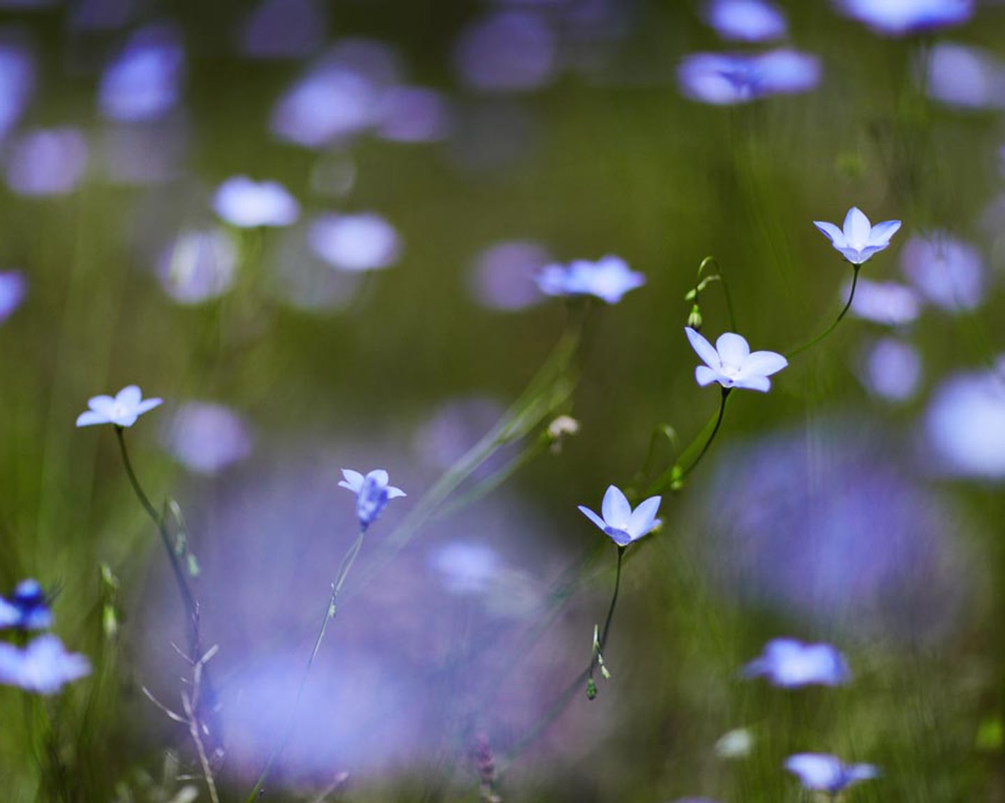 A Beginner’s Guide to Neutral Density Filters · Urth Magazine