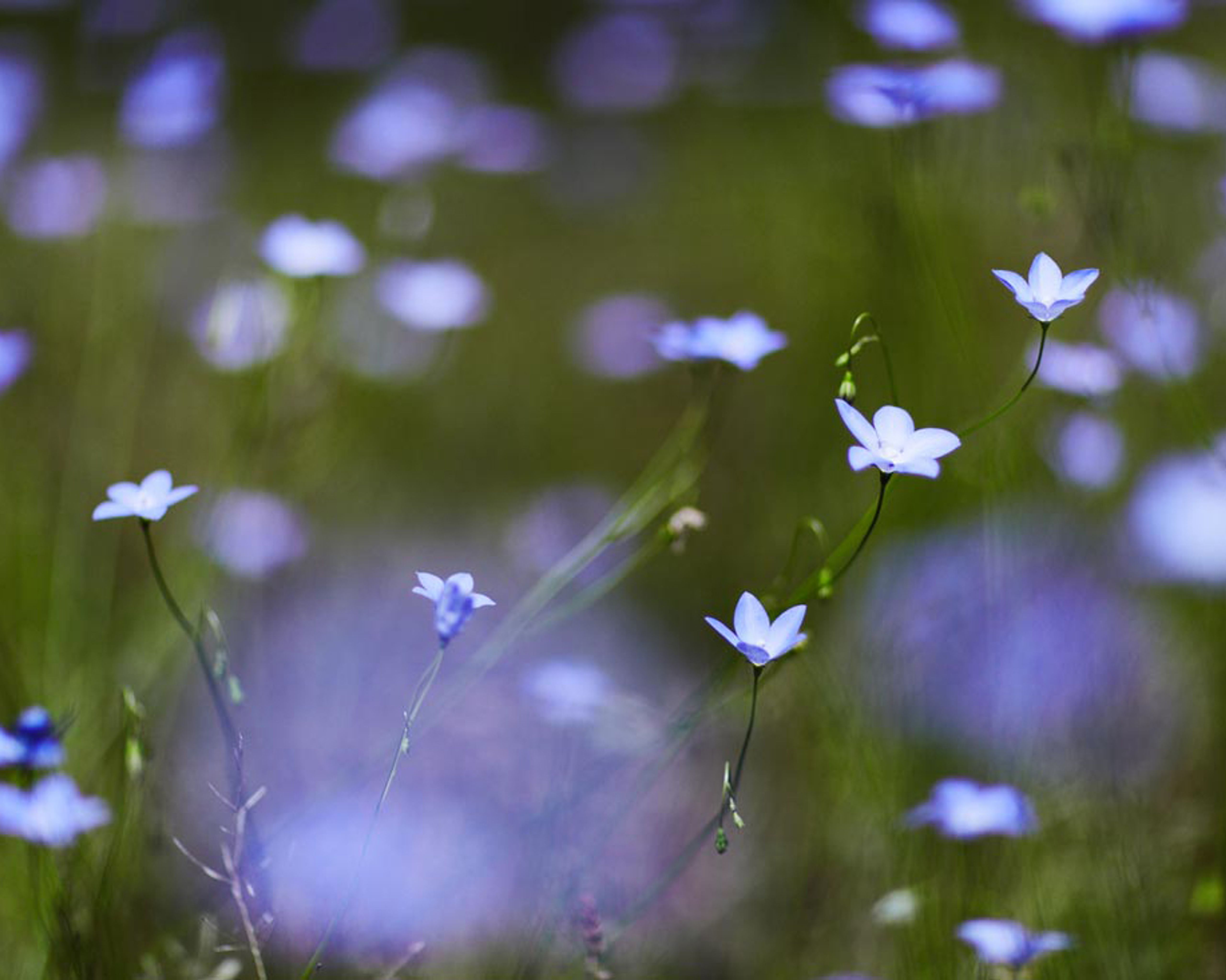 A Beginner’s Guide to Neutral Density Filters · Urth Magazine