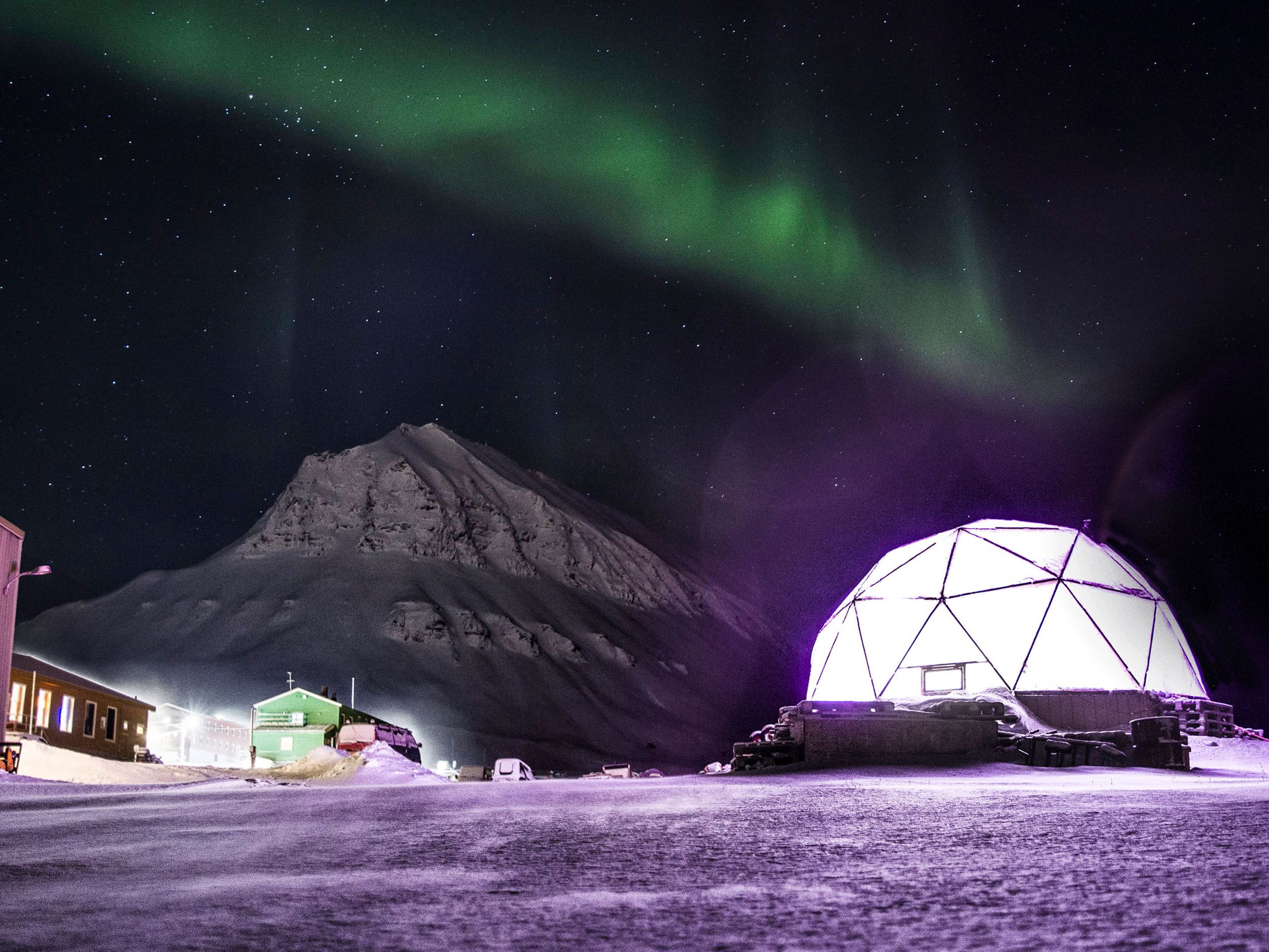How Arctic Farming Is Transforming Earth's Northernmost Food Supply ...