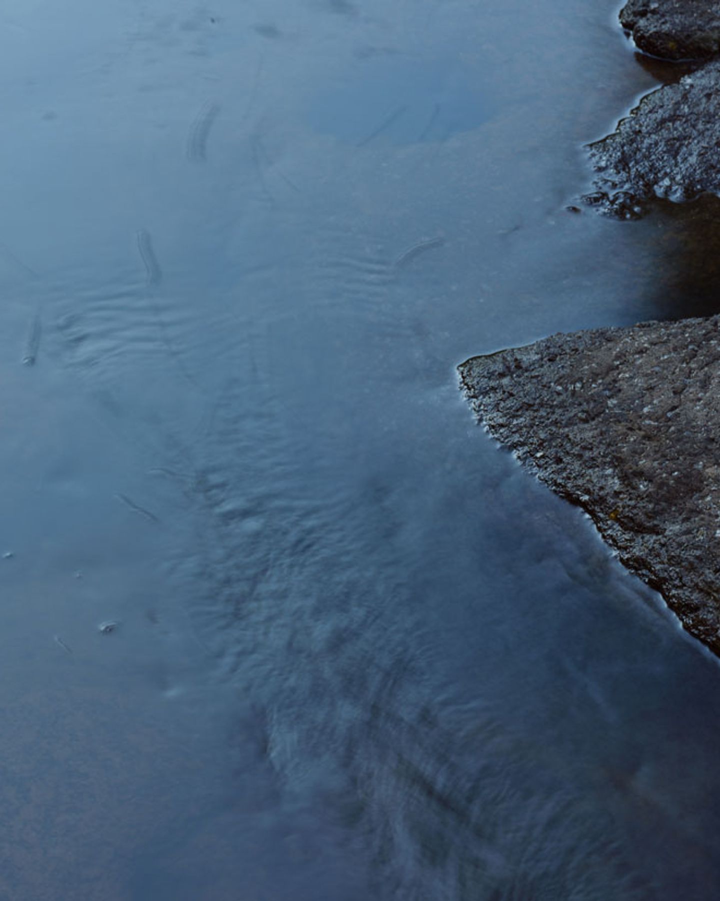 Understanding How Polarized Filters Work- A Beginner's Guide (CPL ...