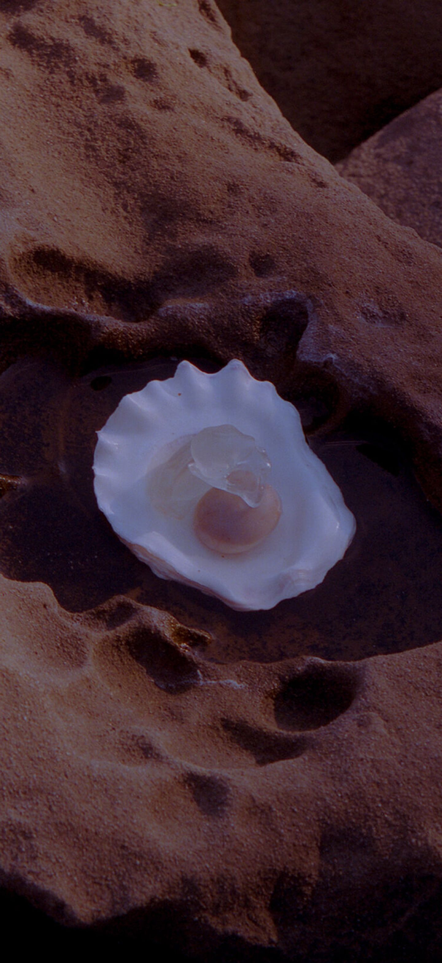 Chiara Zonca Captures An Ethereal Summer | Ethereal Filter · Urth Magazine