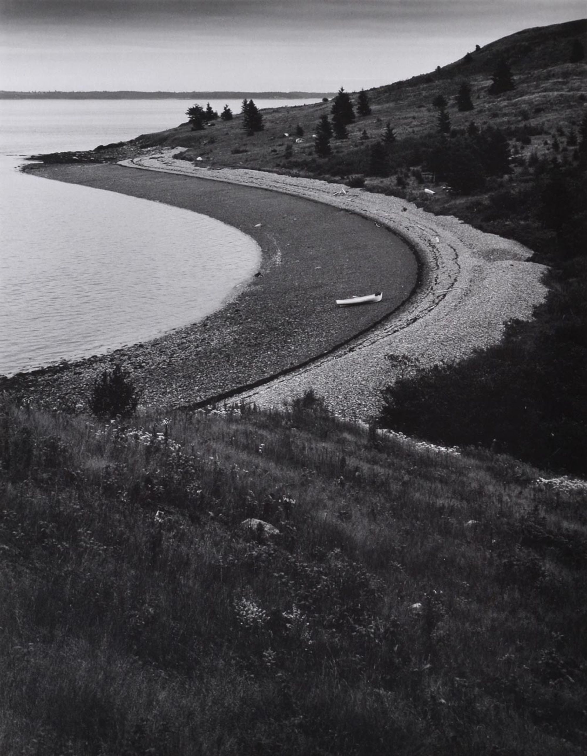 How Eliot Porter Captured Nature’s Most Intimate Landscapes · Urth Magazine