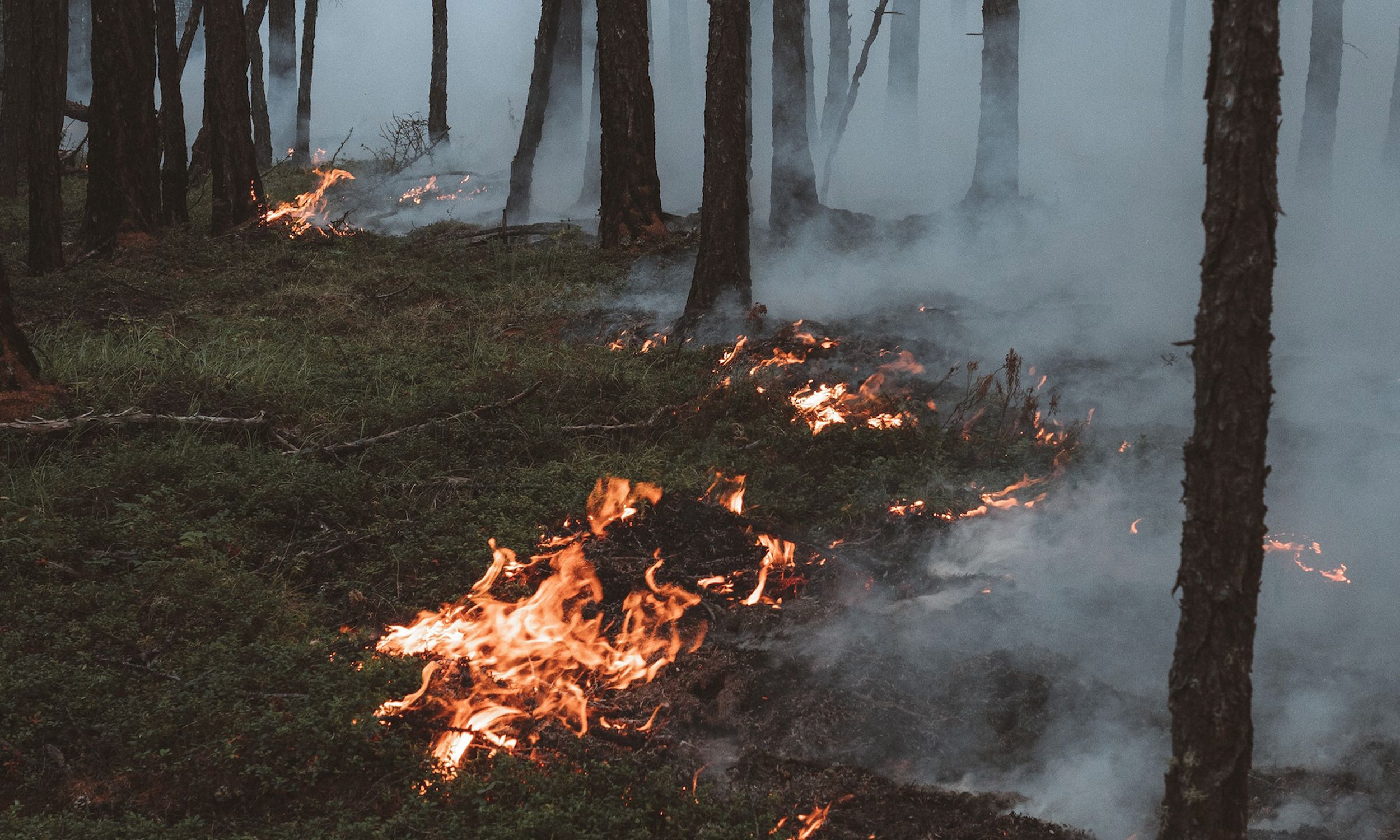 Burning Cold: The Power of Indigenous Fire Knowledge with Victor ...