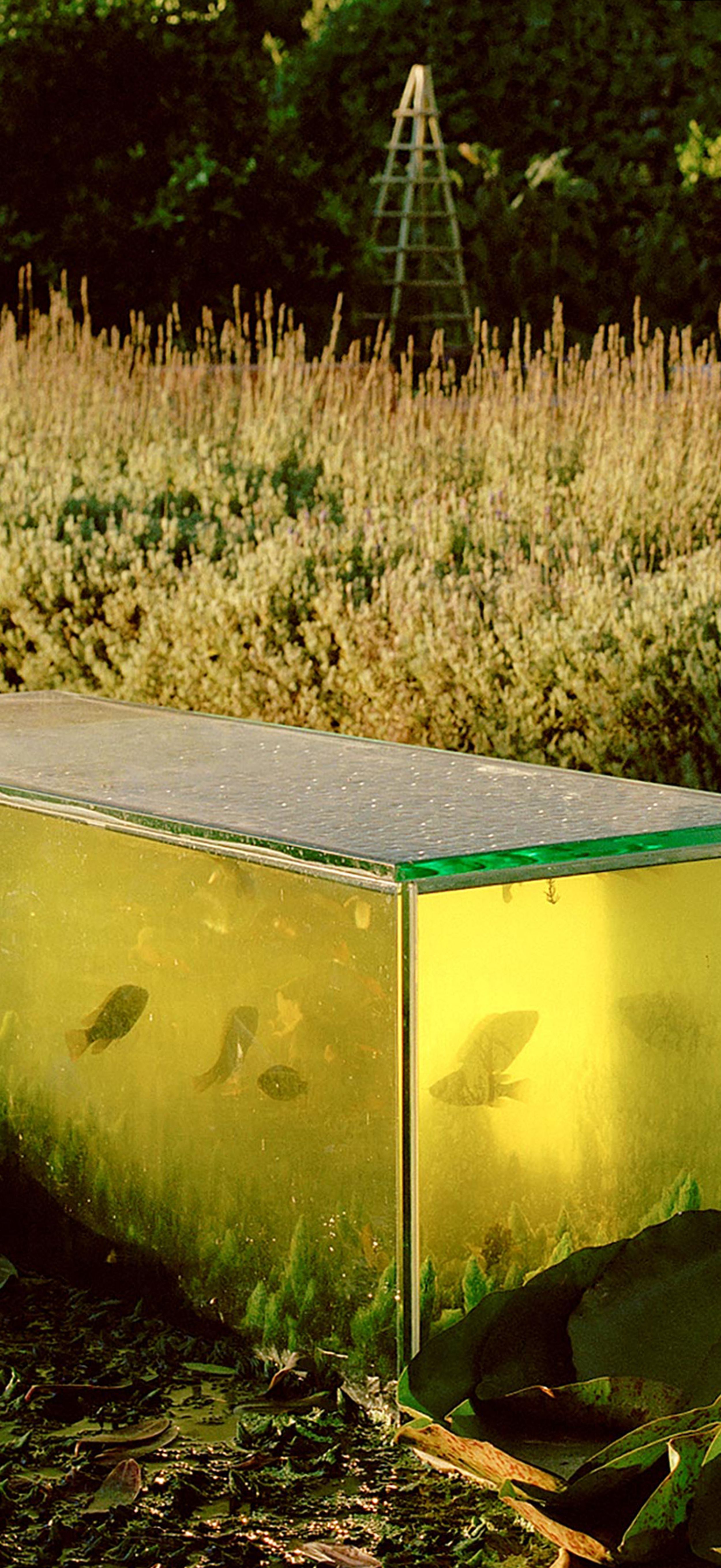 Kent Andreasen Photographs Humans vs. Nature · Urth Magazine