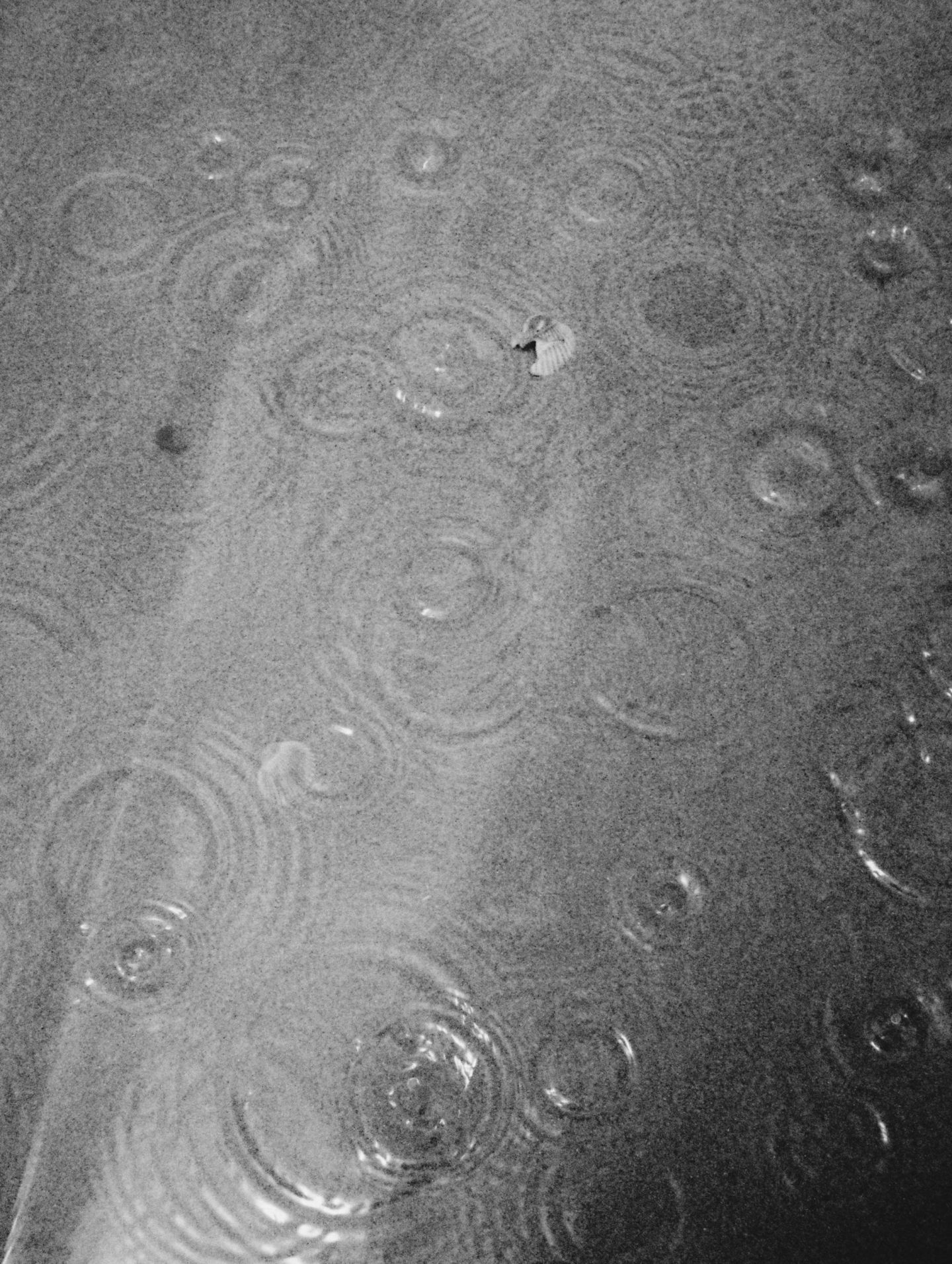 Ben Rayner Finds Beauty in the Familiar · Urth Magazine