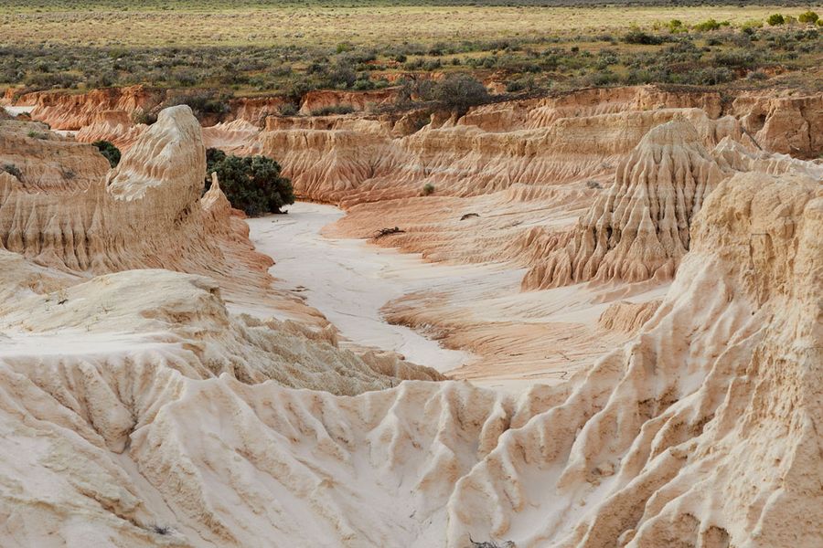 A Quick Guide to Depth of Field: Examples & Photos · Urth Magazine