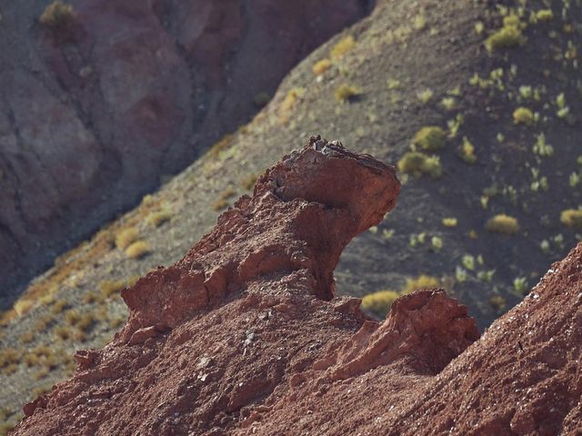 A Quick Guide to F-Stops: Examples & Photos · Urth Magazine