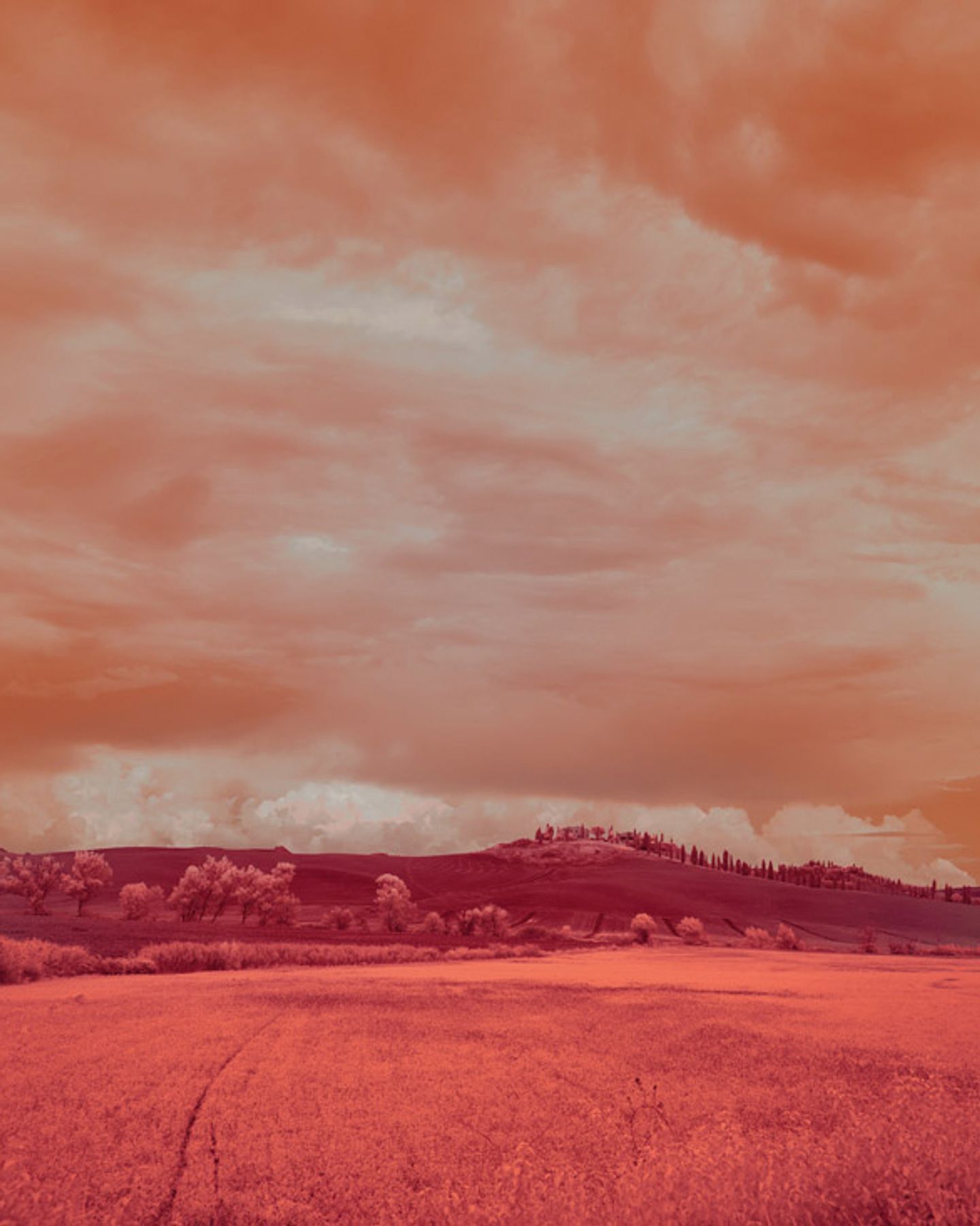 Infrared Filters: What Are They & How Do They Work · Urth Magazine