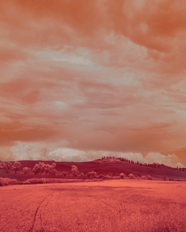 Infrared Filters: What Are They & How Do They Work · Urth Magazine