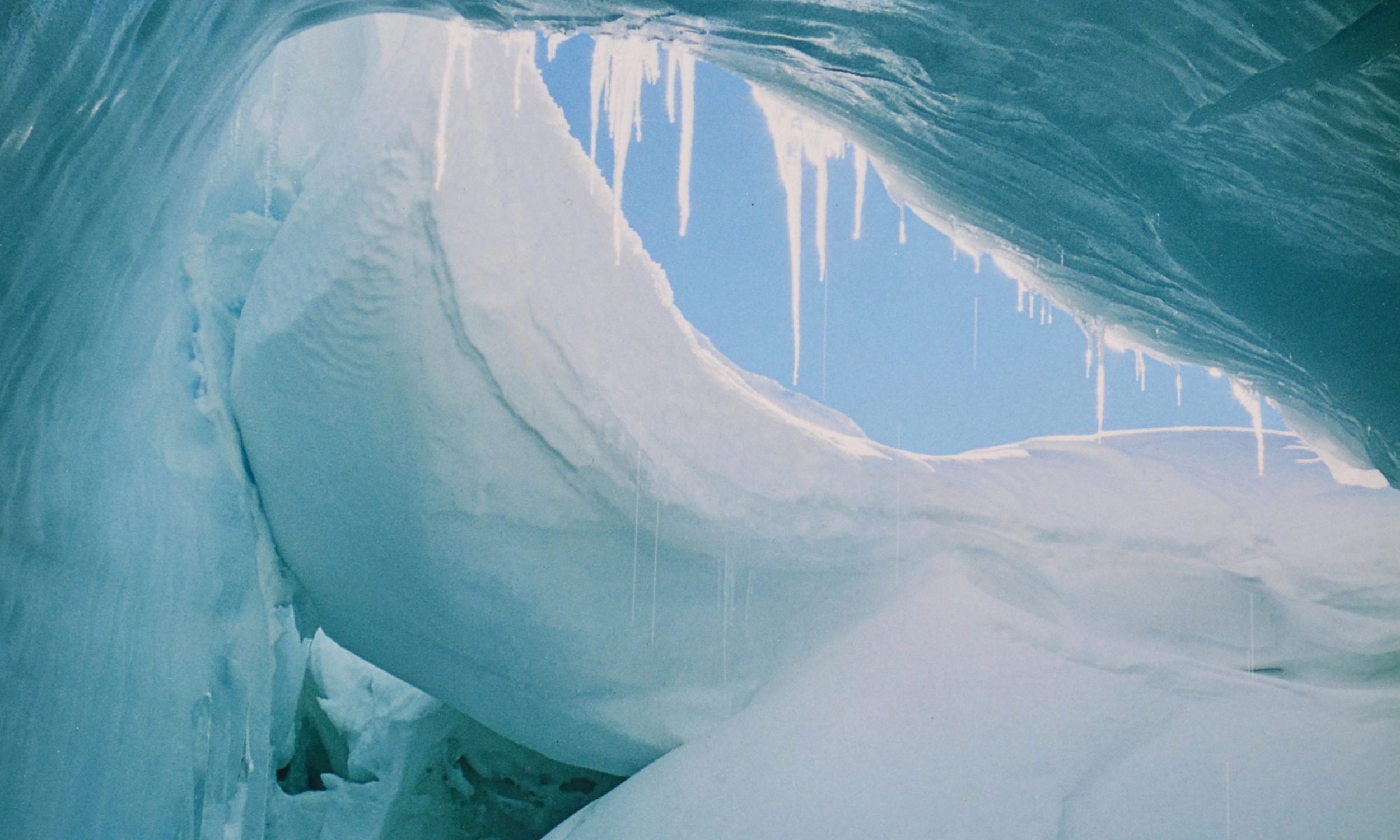 How Eliot Porter Captured Nature’s Most Intimate Landscapes · Urth Magazine