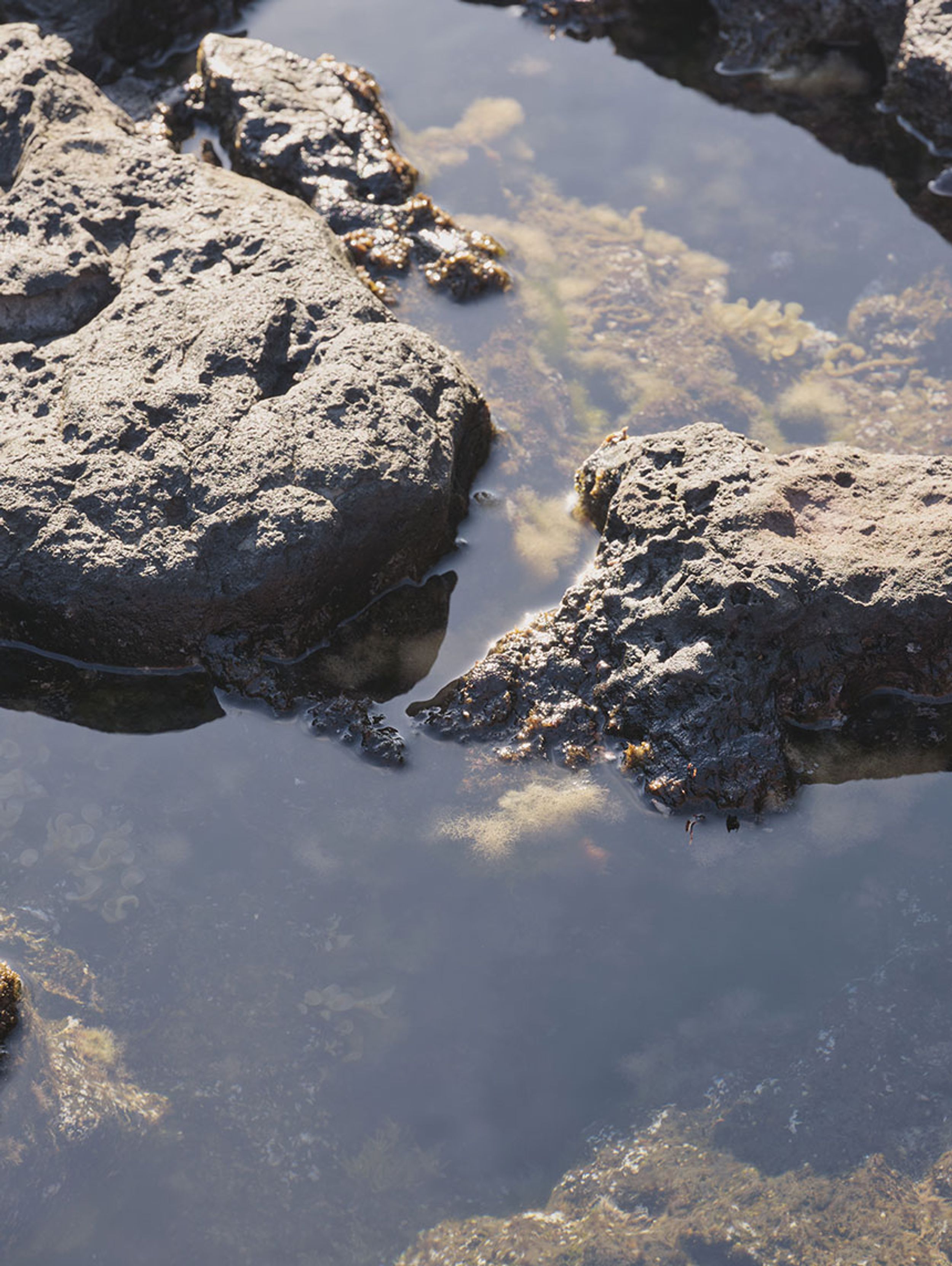 CPL vs ND Lens Filter: Key Differences You Need to Know · Urth Magazine