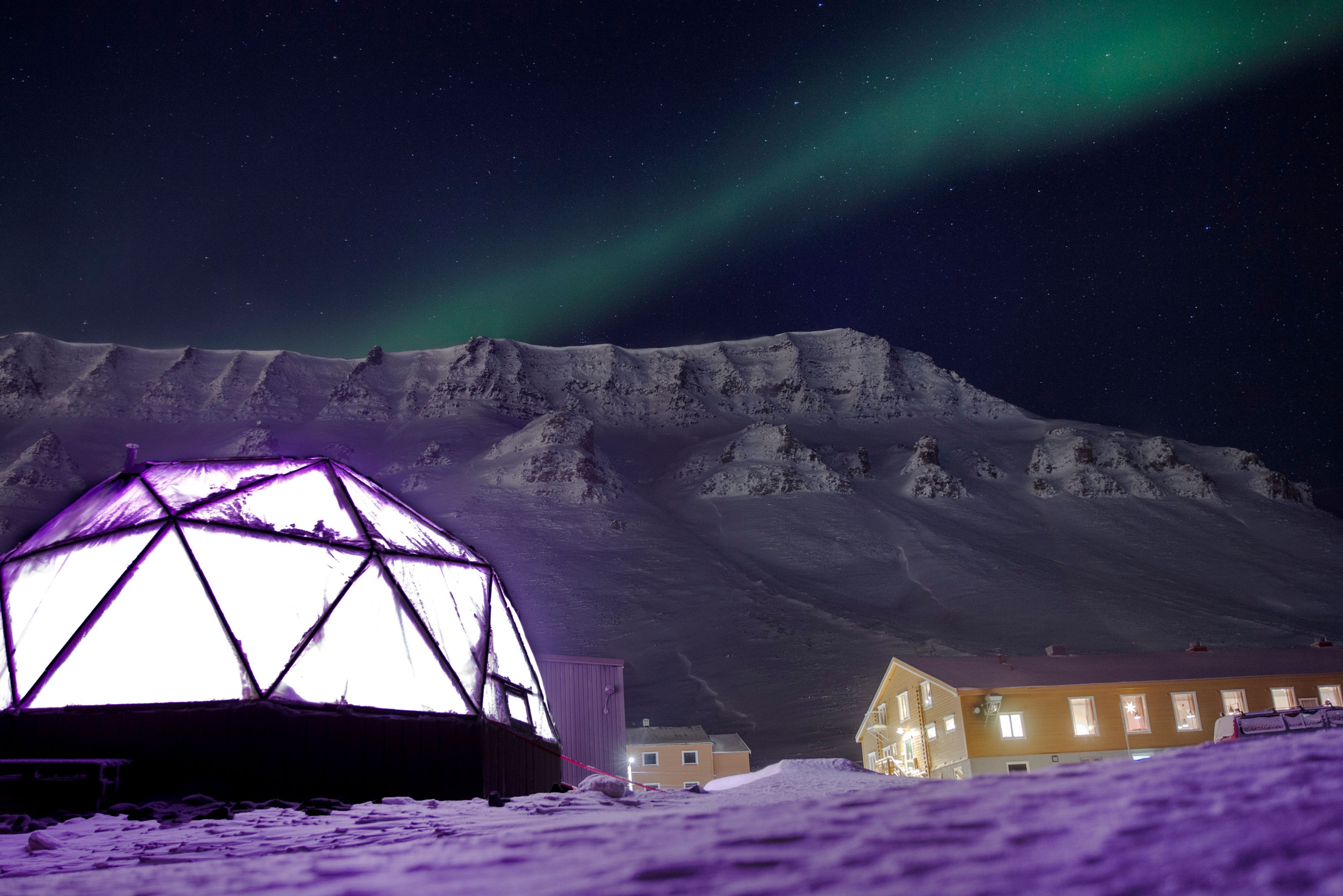 How Arctic Farming Is Transforming Earth's Northernmost Food Supply ...