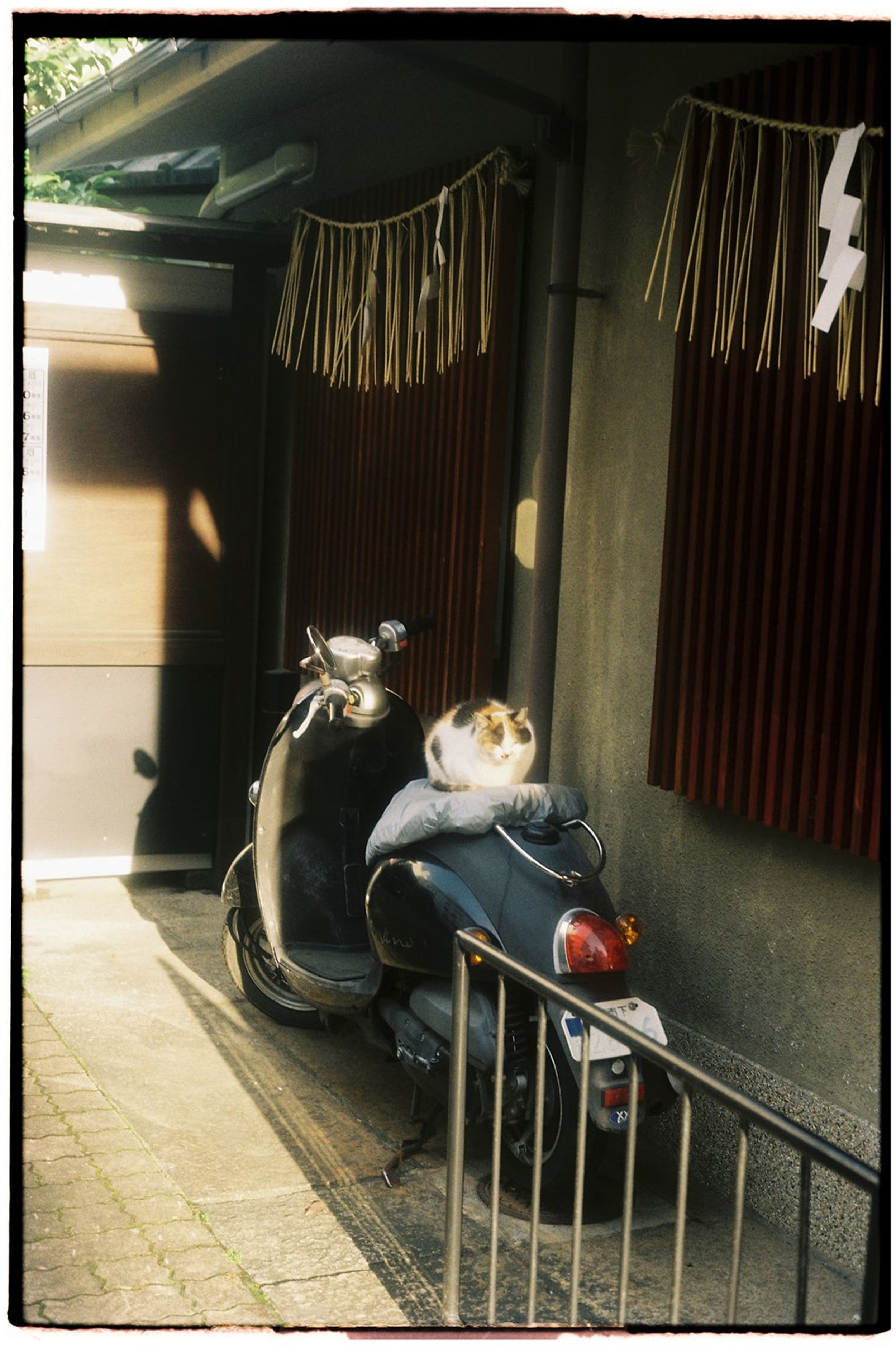 Capturing Tokyo: Unveiling the Harmony Between Chaos and Order · Urth ...