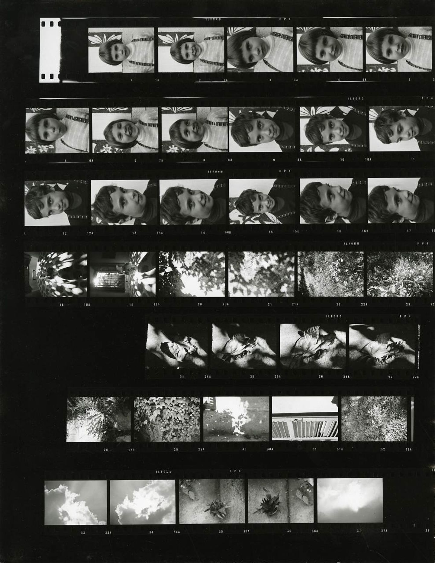 Is Analogue or Digital Photography More Eco Friendly? · Urth Magazine