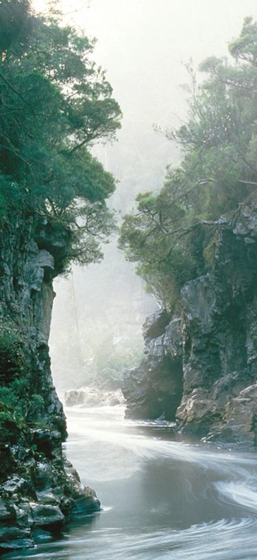 The Photo That Saved The Franklin River · Urth Magazine