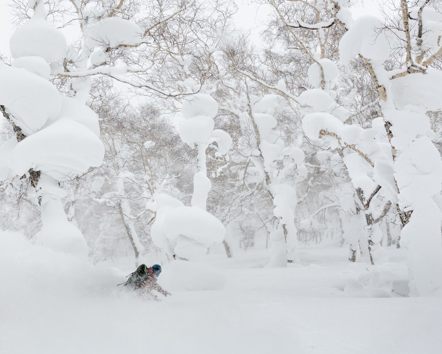 Talking to Trees with Jordan Manley · Urth Magazine