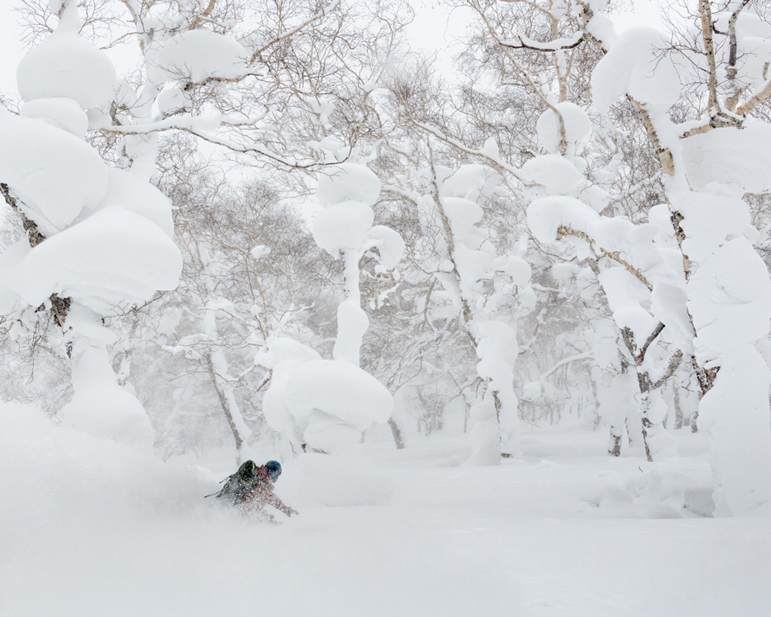 Talking to Trees with Jordan Manley · Urth Magazine