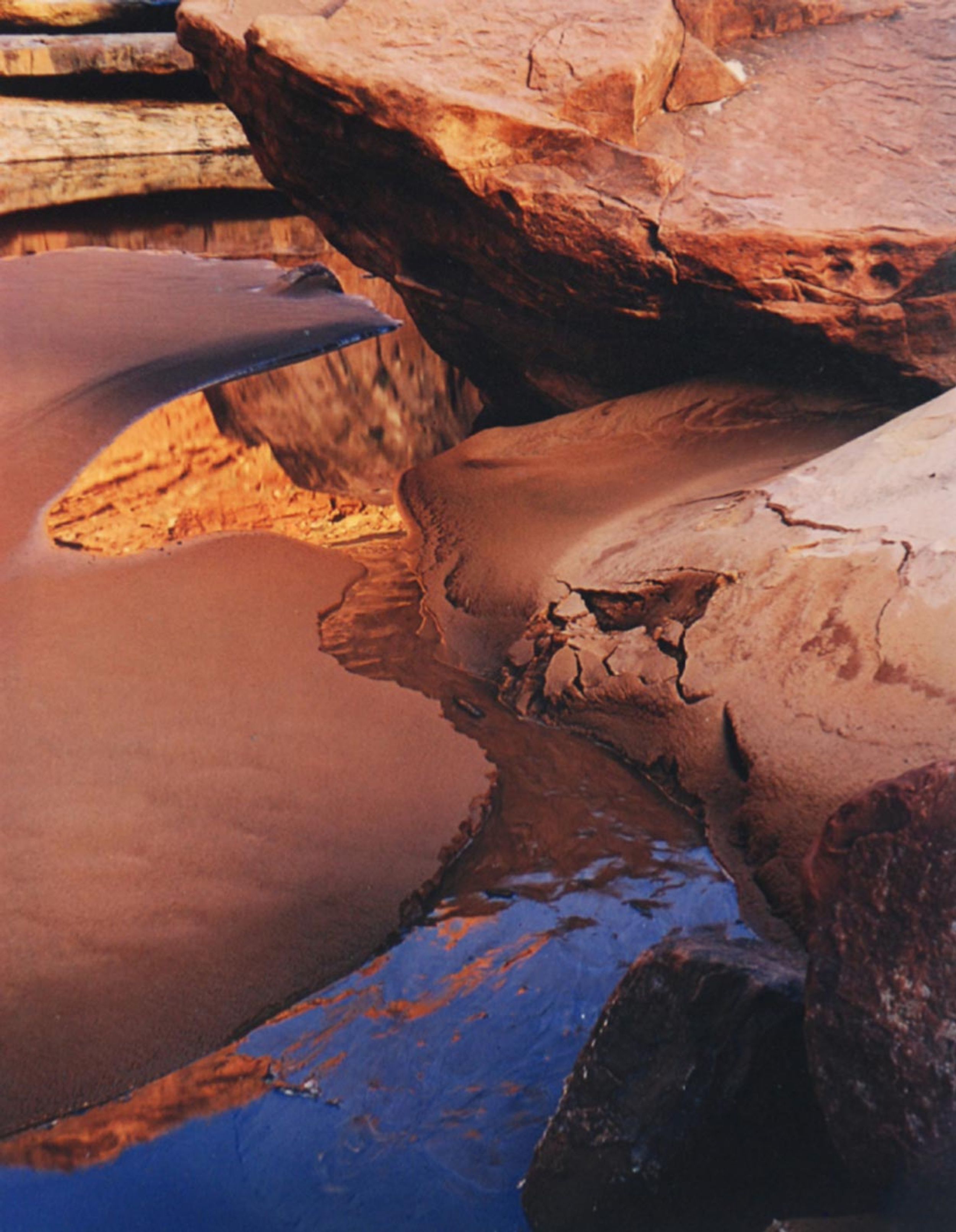 How Eliot Porter Captured Nature’s Most Intimate Landscapes · Urth Magazine