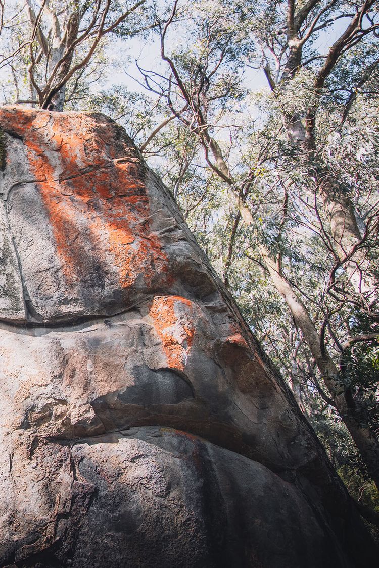 Burning Cold: The Power of Indigenous Fire Knowledge with Victor ...