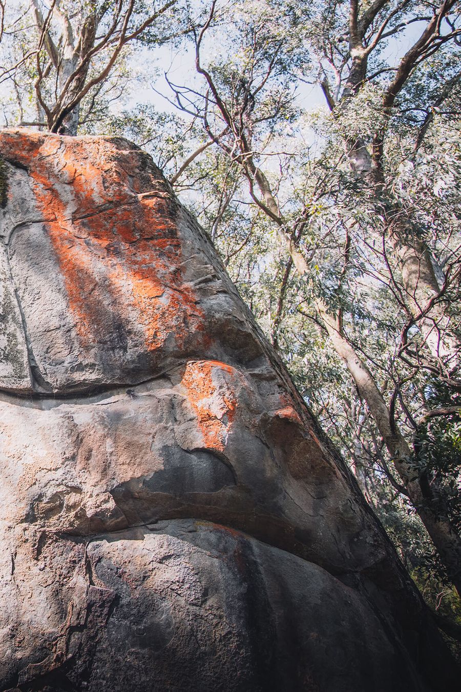 Burning Cold: The Power of Indigenous Fire Knowledge with Victor ...