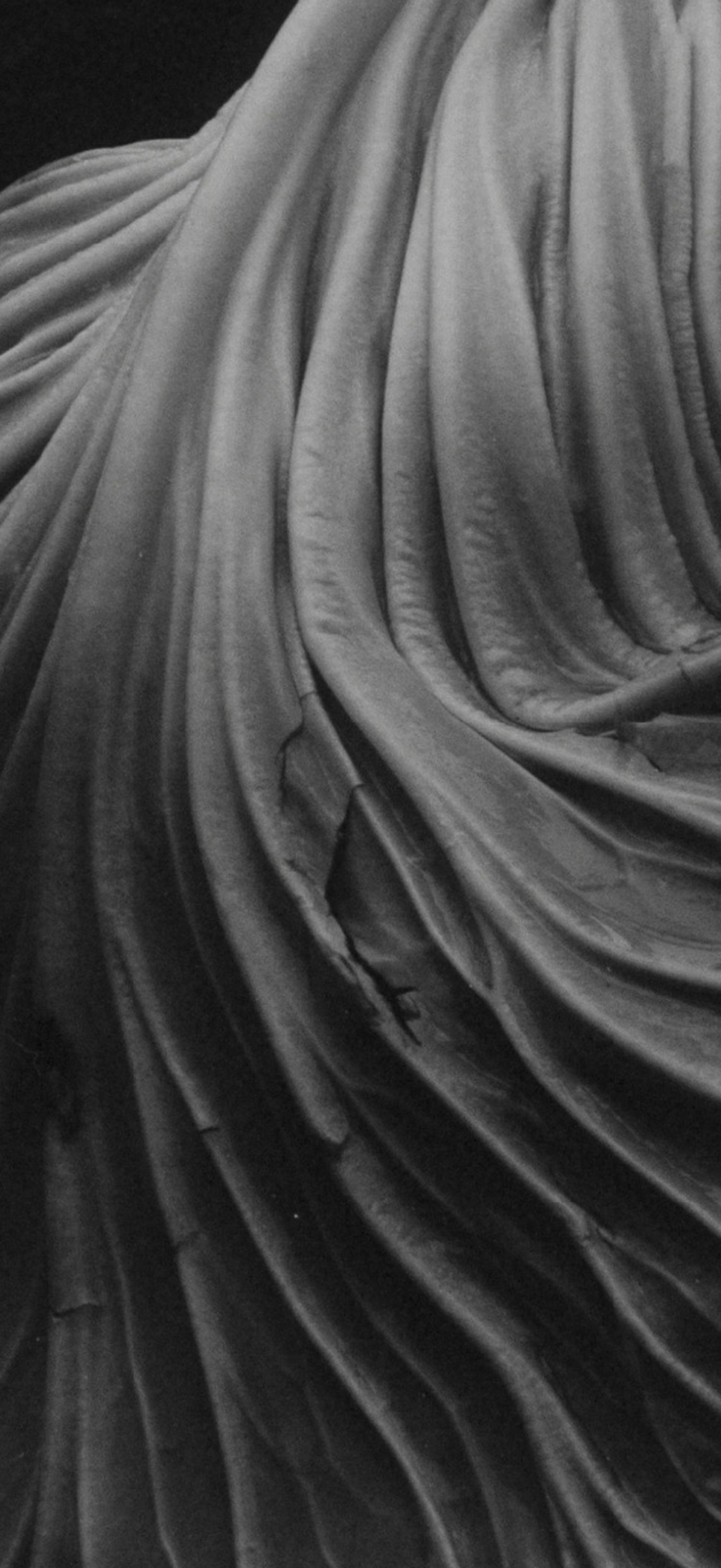 How Edward Weston Pushed Photography into Modernity · Urth Magazine