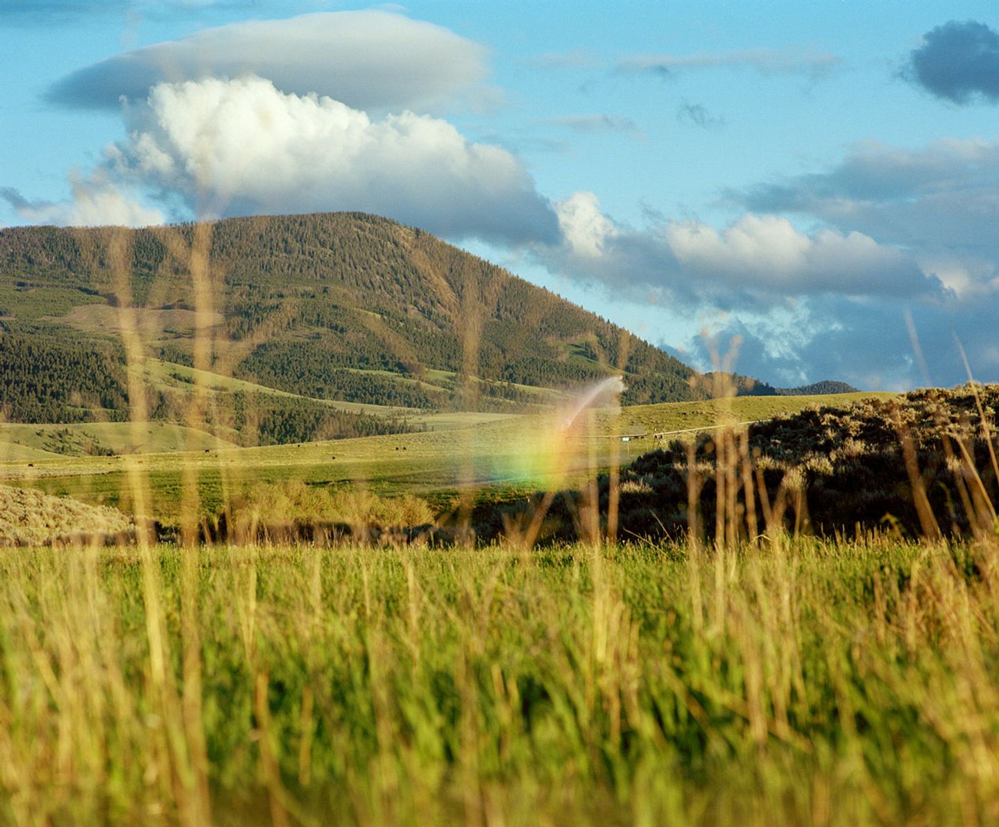 Kent Andreasen Photographs Humans vs. Nature · Urth Magazine