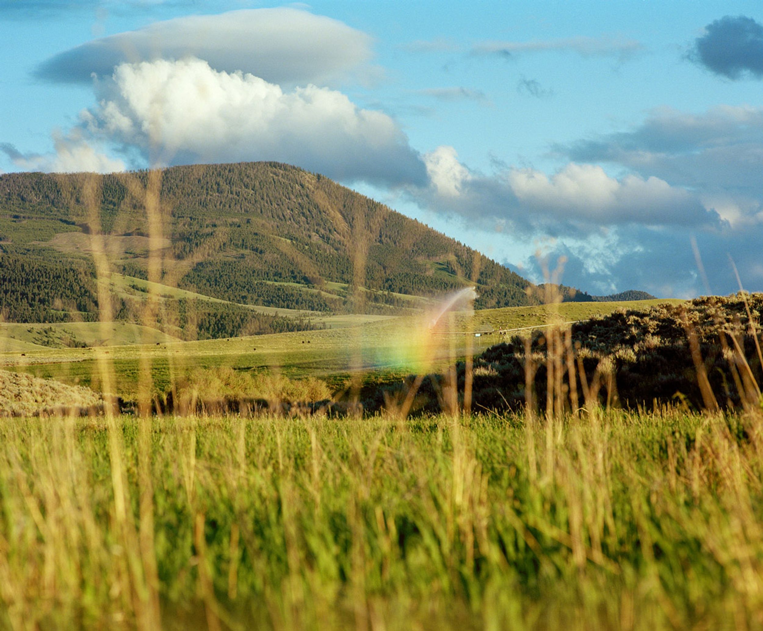 Kent Andreasen Photographs Humans vs. Nature · Urth Magazine