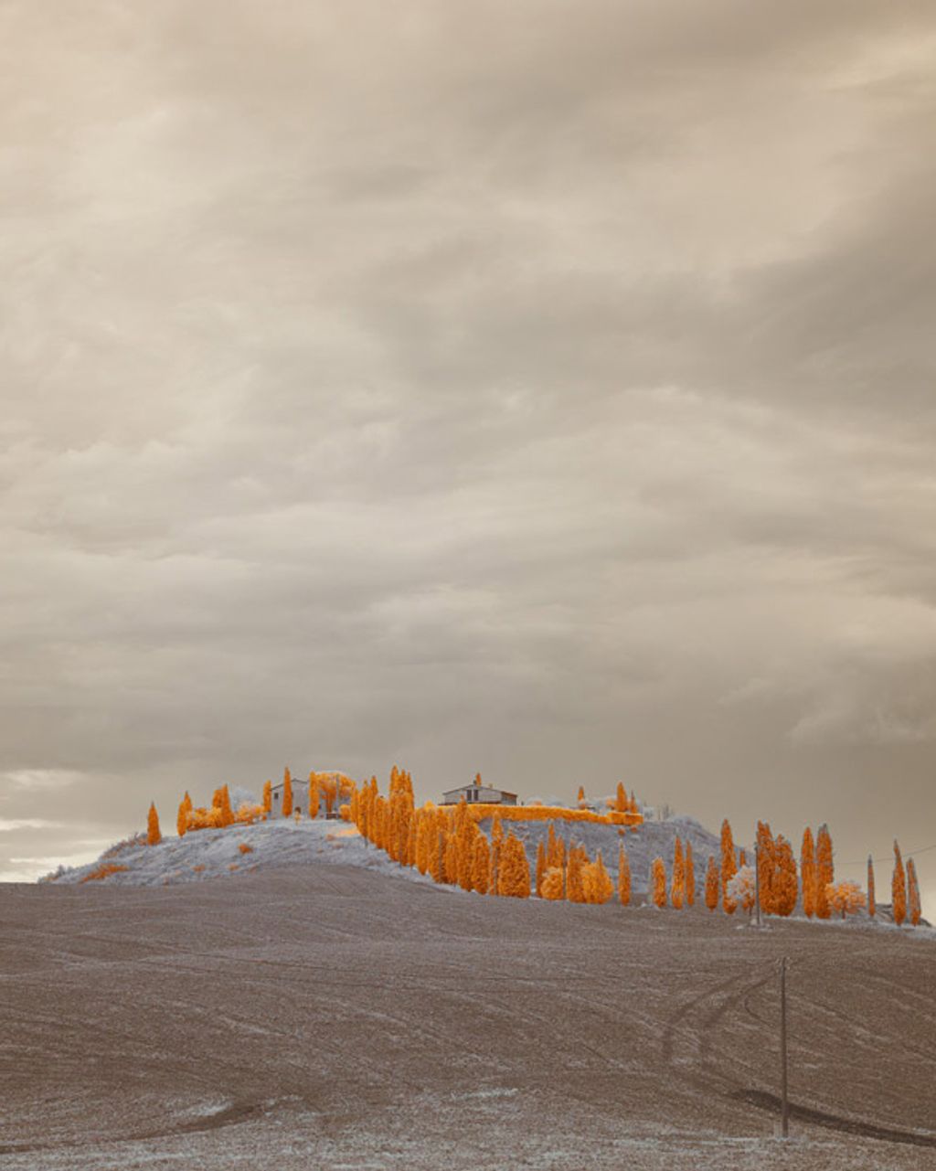 Infrared Filters: What Are They & How Do They Work · Urth Magazine