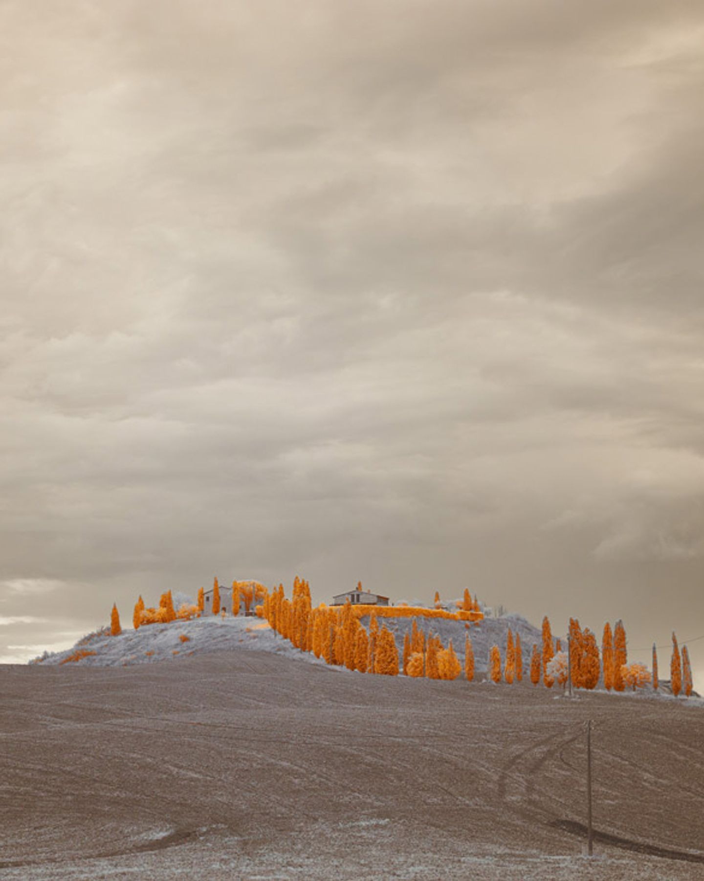 Infrared Filters: What Are They & How Do They Work · Urth Magazine