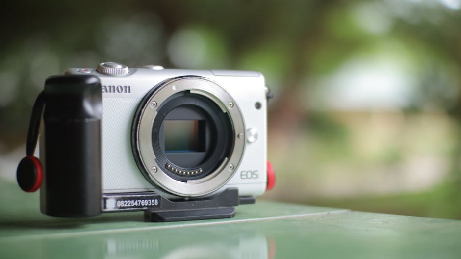 Canon EOS R6 Mark III Review: Best Mirrorless Camera | LensClear