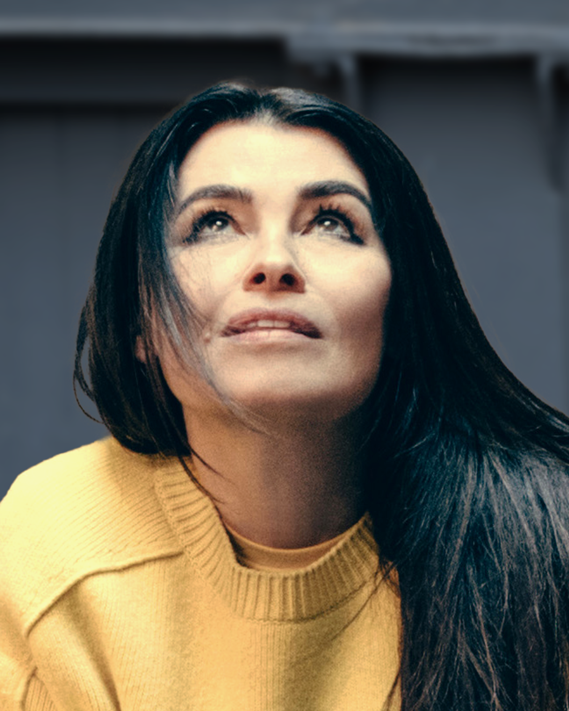 The Lunar Chronicles