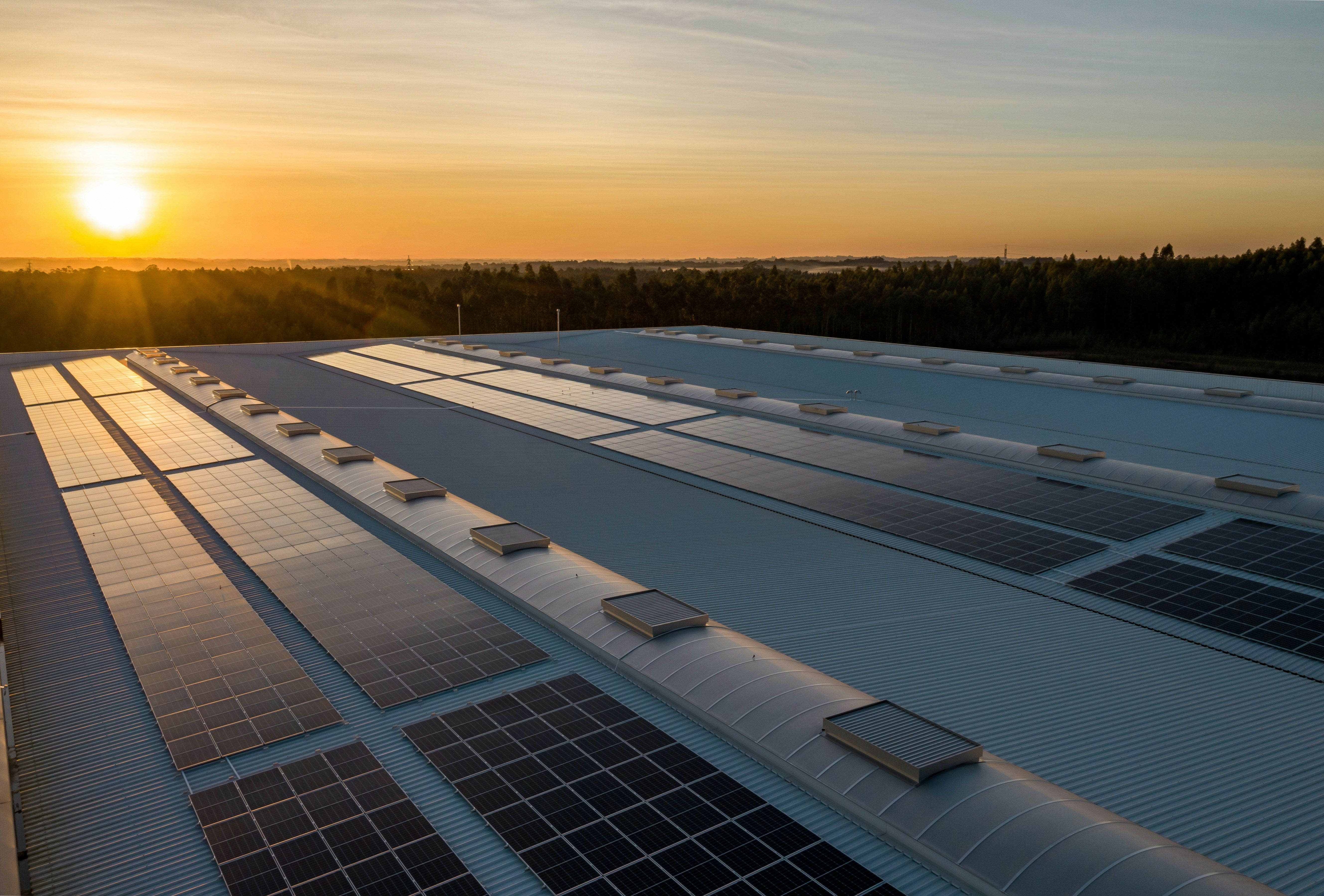 Paneles Solares: qué son, cómo funcionan y para qué sirven