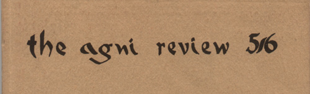 Prose Poem Sampler | AGNI Online