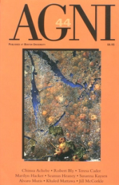 Archive | AGNI Online