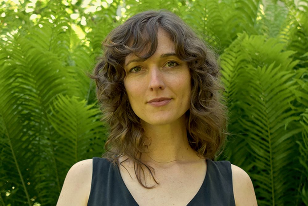 Ellen Rogers | AGNI Online