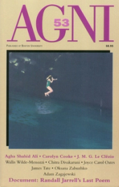 Archive | AGNI Online