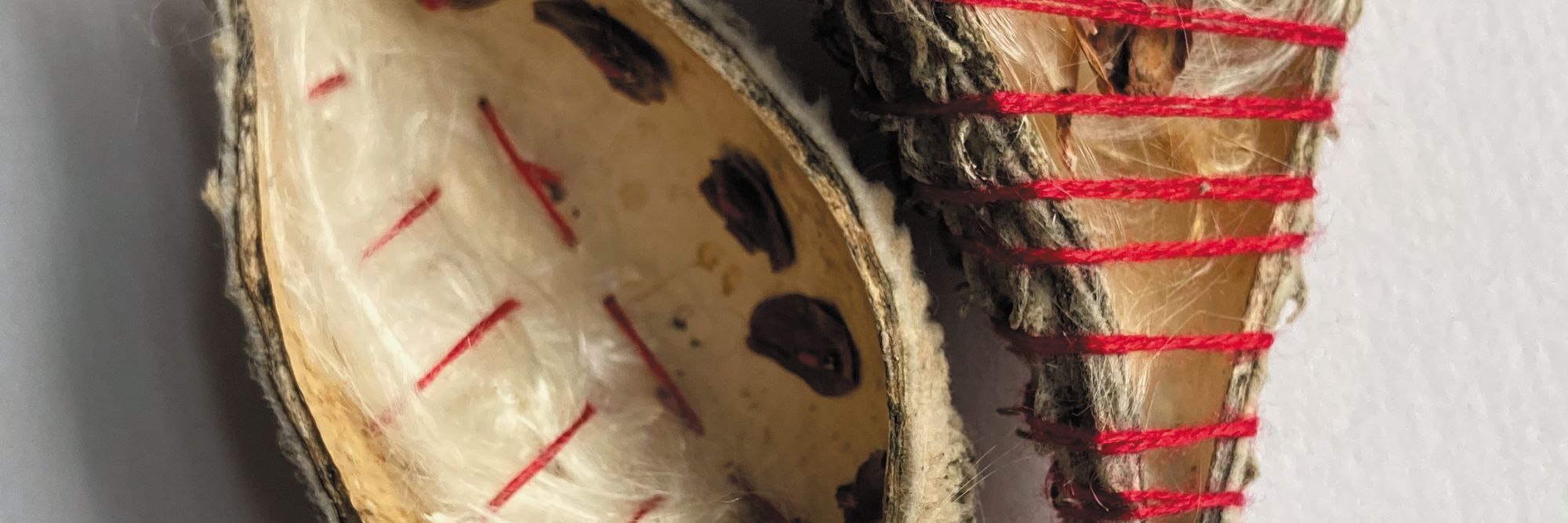 Photographs of Thinking: A Conversation with Ken Chen | AGNI Online