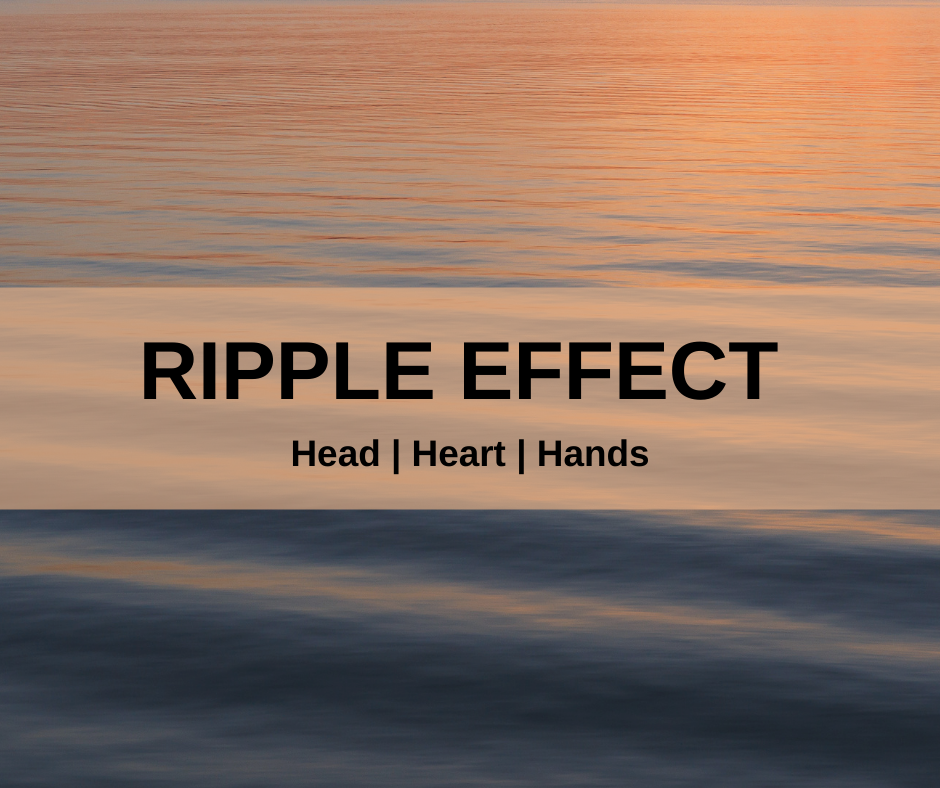Ripple Effect | St Stephen's Wynyard