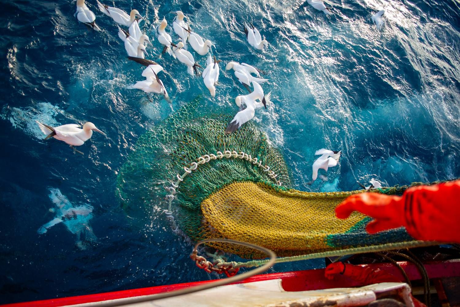 North Sea Fishing Photography | Calum Toogood